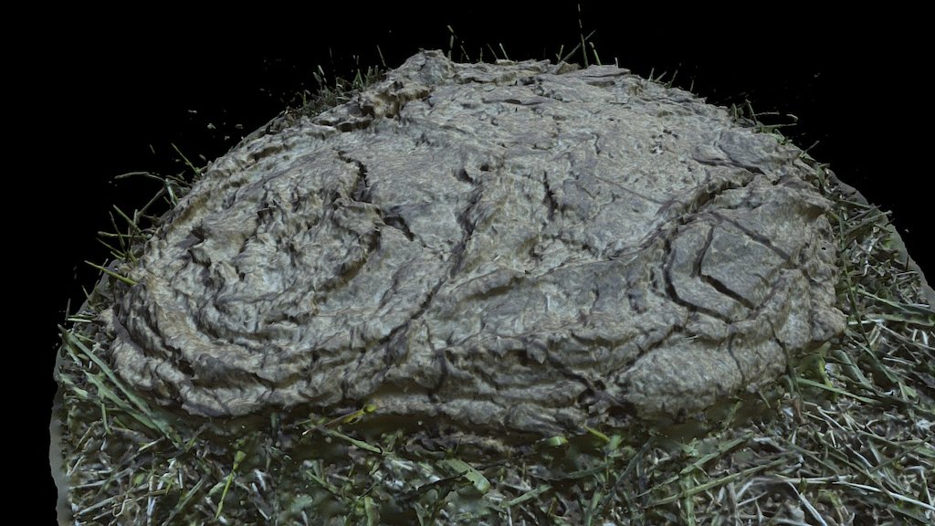 Madison Dung Sample 1 of 2 - 3D model by fecr2o4 [b7935f9] - Sketchfab