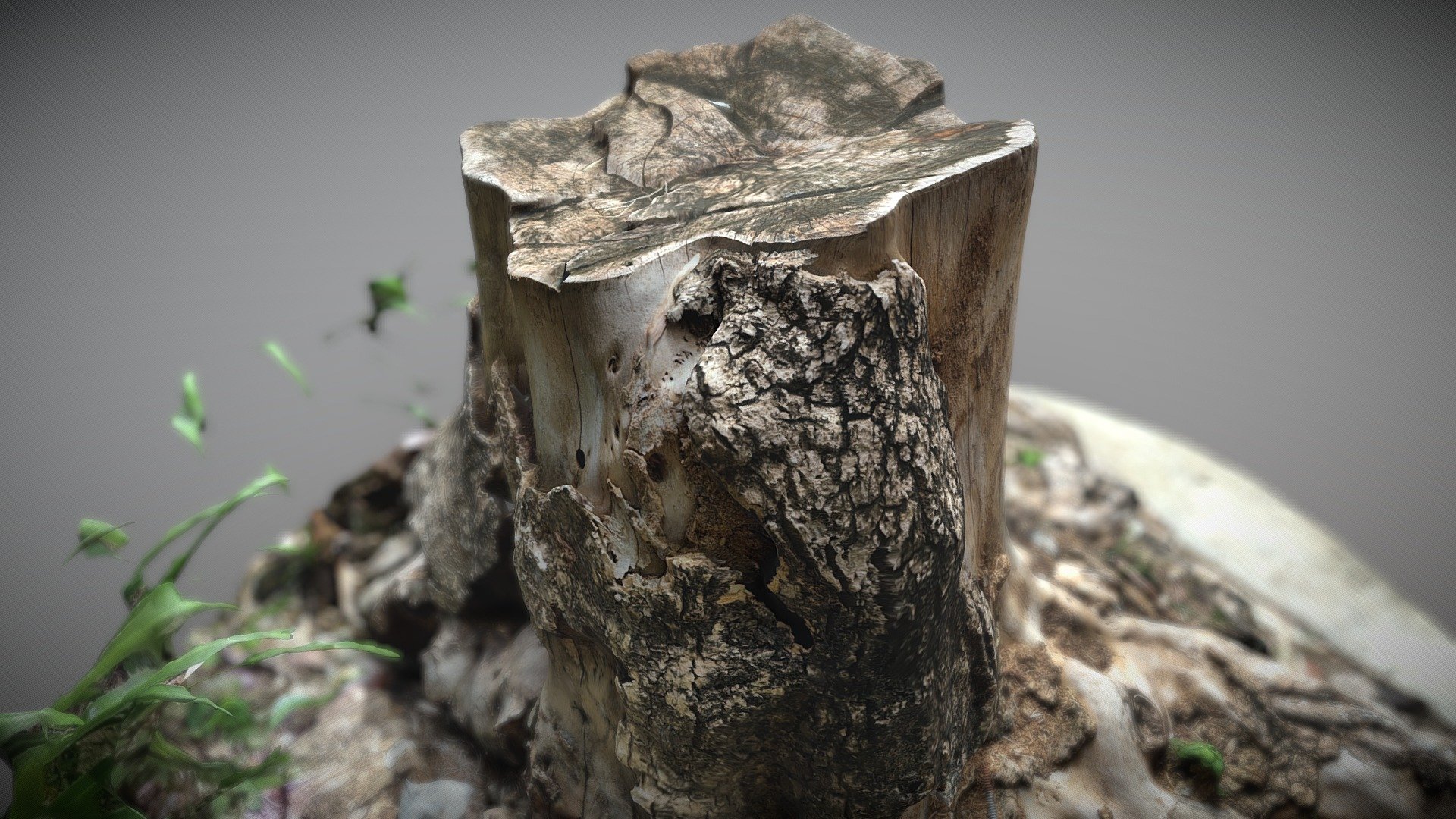195-OJ- Timber 2 - Download Free 3D model by KimtueKP [b794fed] - Sketchfab