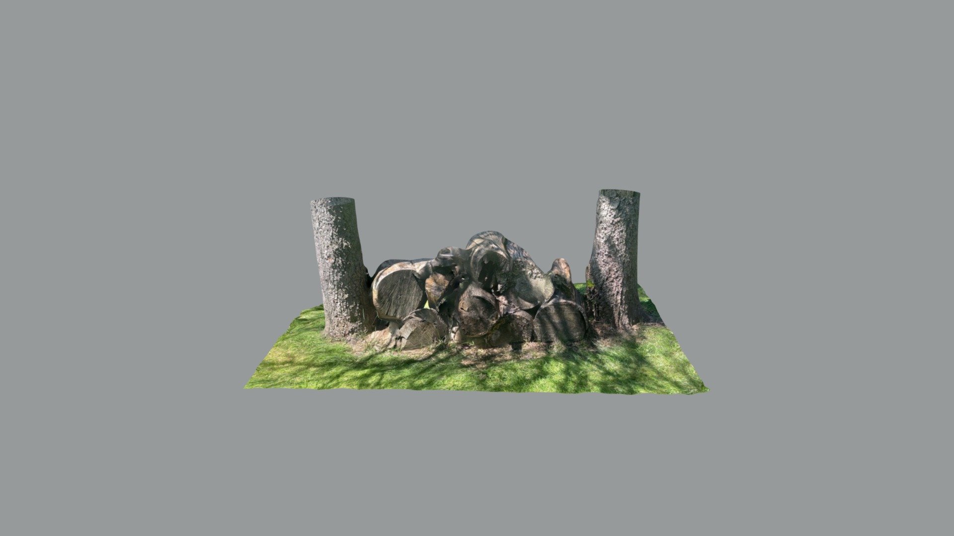 Rotten Ole Logs - Download Free 3D model by ryanbair [b79598e] - Sketchfab