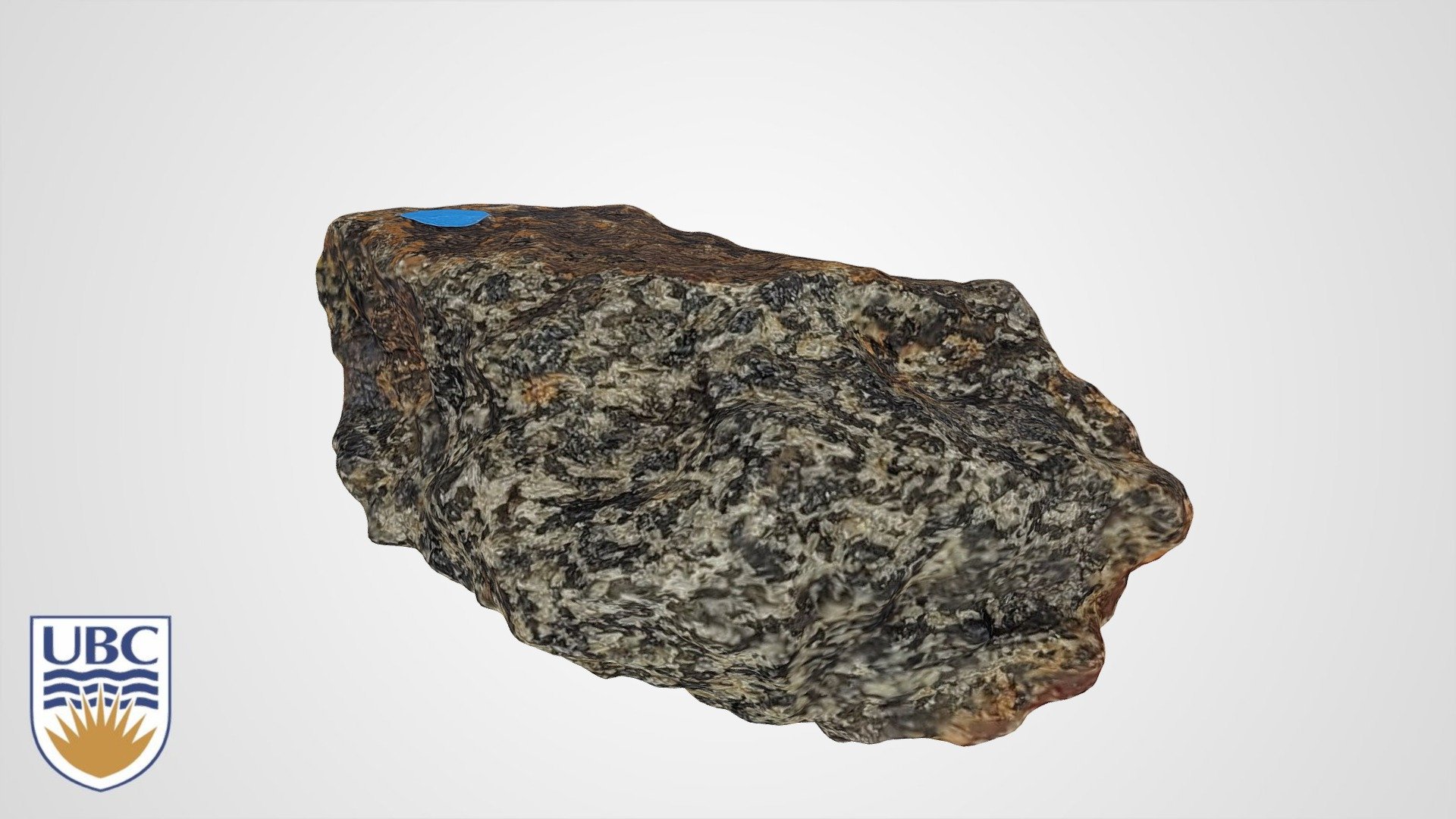 Skaergaard intrusion UZc gabbro (SEB87-216) - 3D model by Nichole ...
