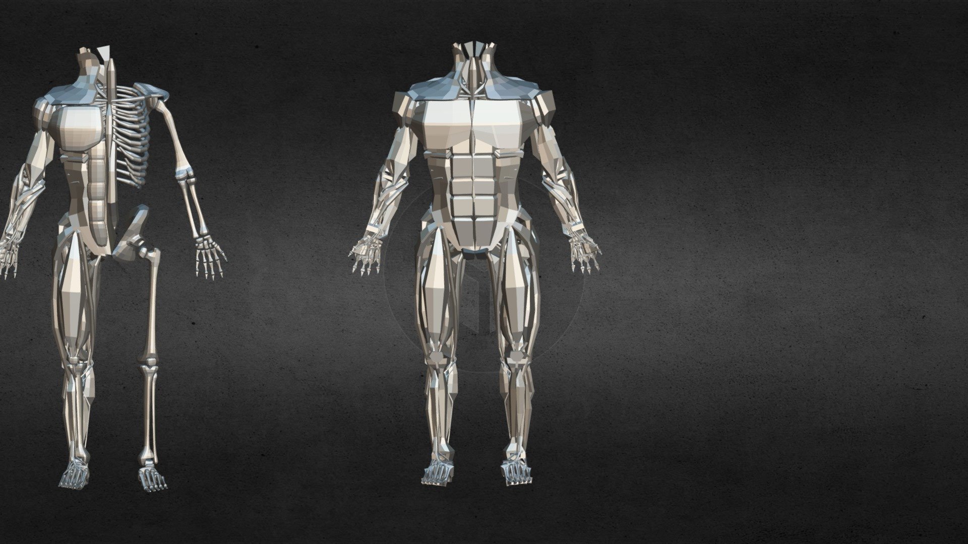 LOW POLY BOX PLANAR MUSCLE 6-10-2022 - Download Free 3D model by ...