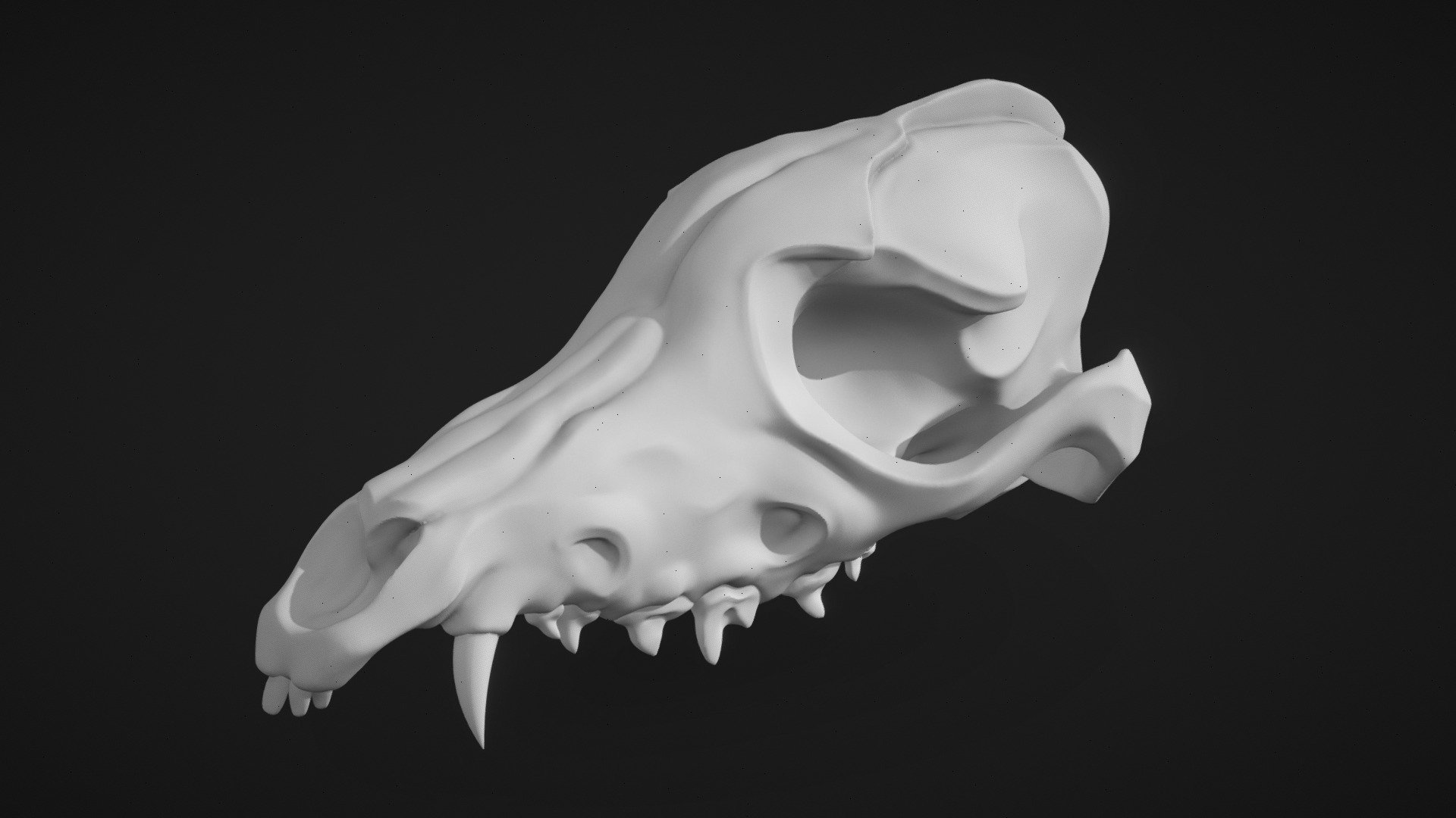 skull - Download Free 3D model by sneakyraccoon [b79cb2b] - Sketchfab