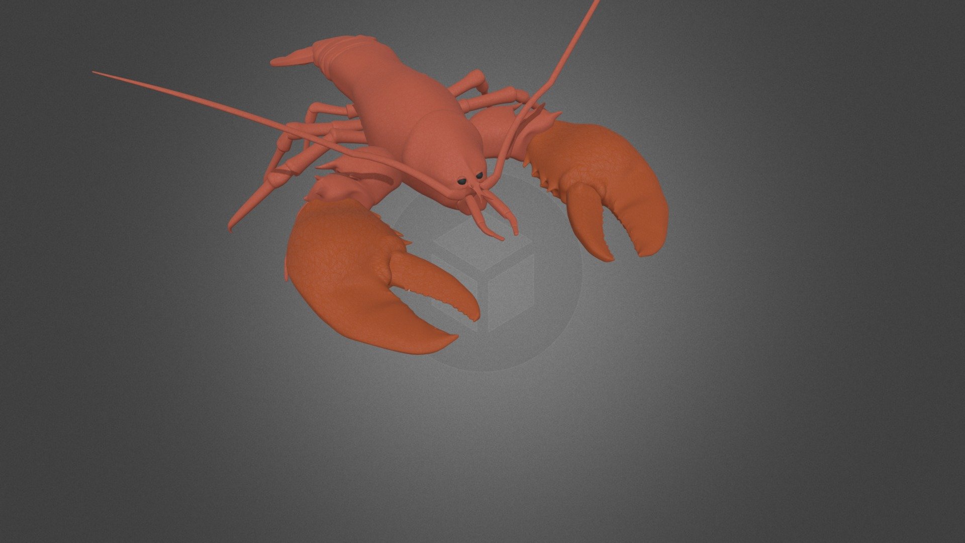 Animation of an ordinary lobster - 3D model by Tooupi [b79d977] - Sketchfab