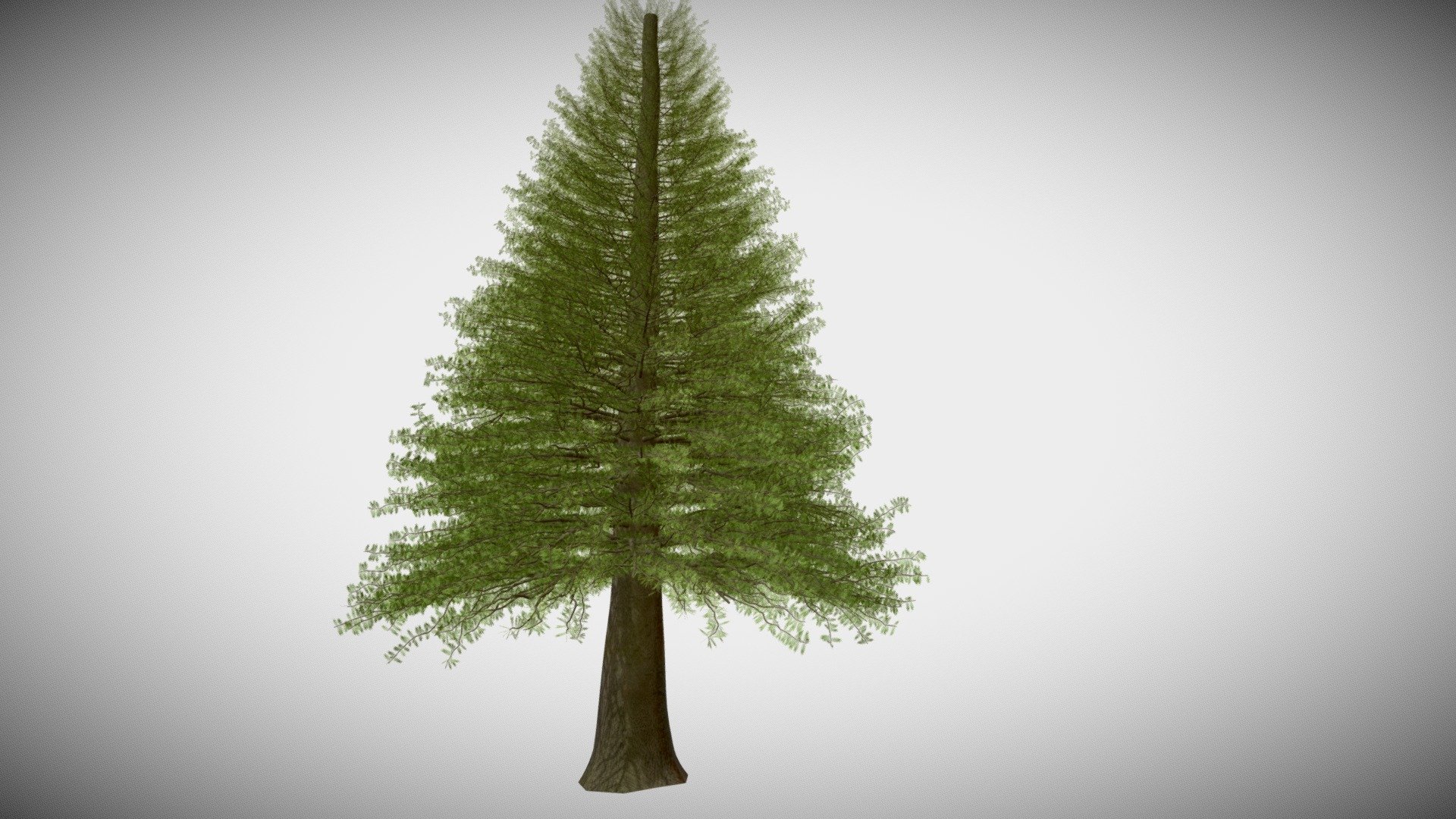 Pine Tree 3D model - 3D model by 3dmodelbusines2bro [b7afaf4] - Sketchfab