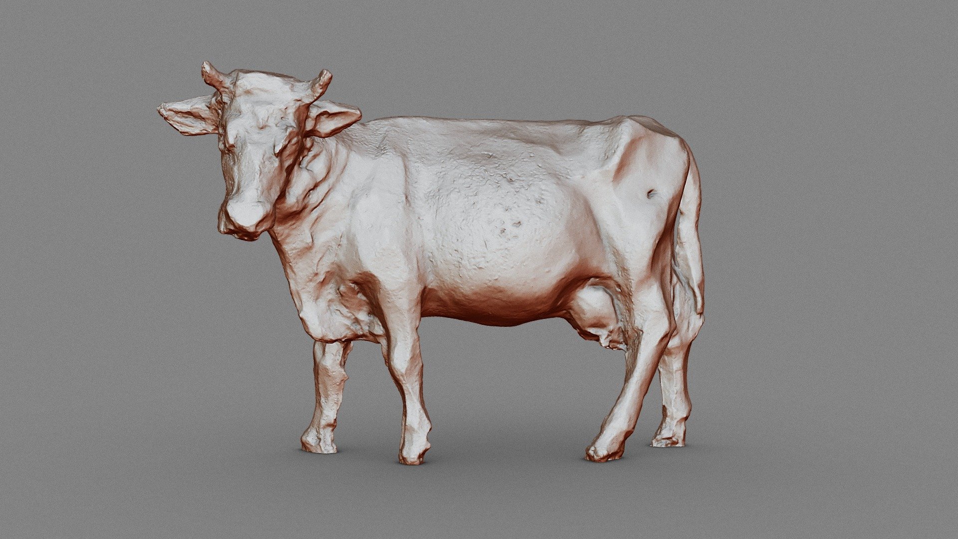 Cow - 3D model by 2print.druck [b7bc903] - Sketchfab