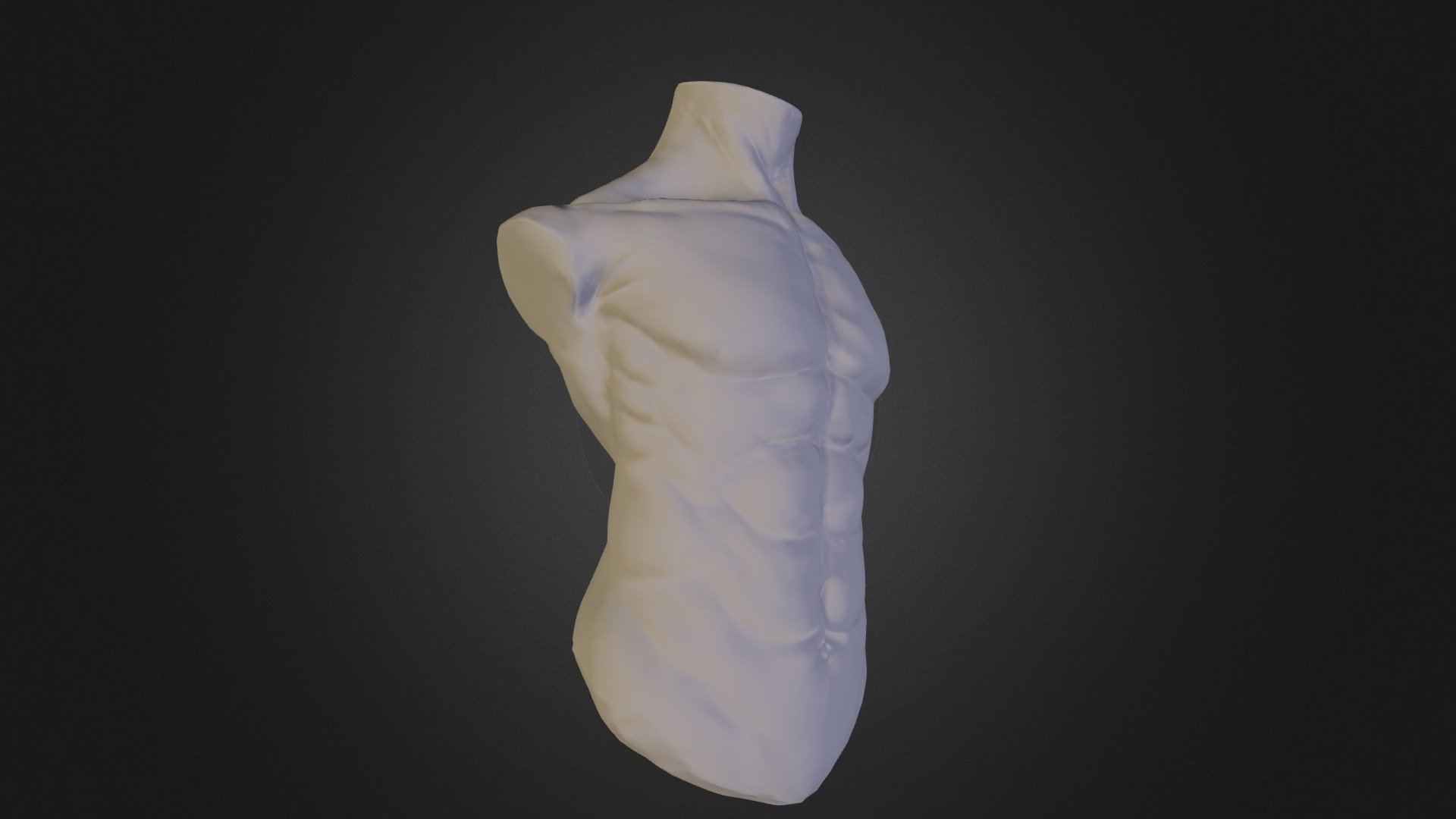 Male Torso - 3D model by phi (@o0i0o) [b7c0e5a] - Sketchfab