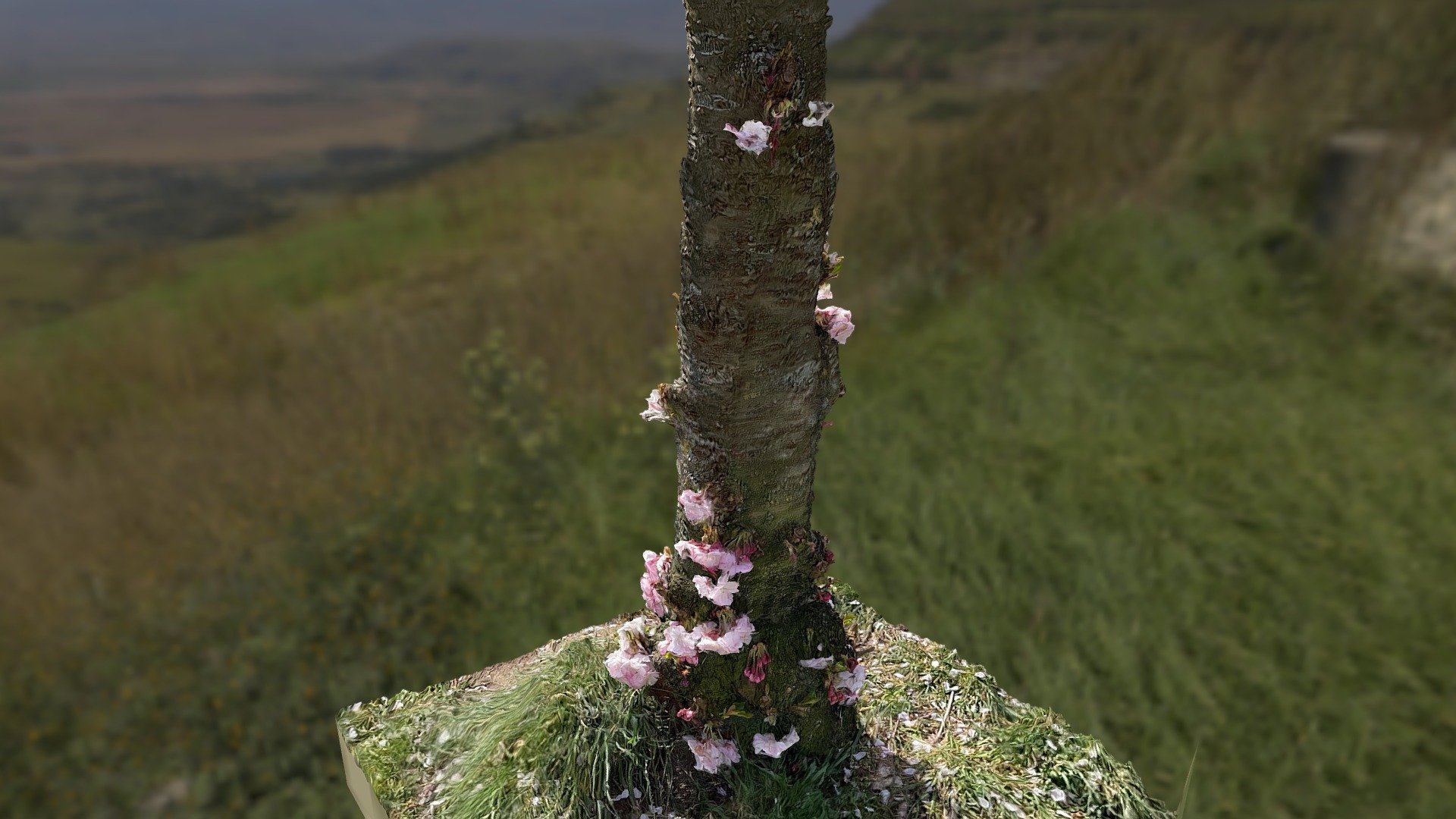 Spring! - 3D model by Bart (@bartv) [b7c6efb] - Sketchfab