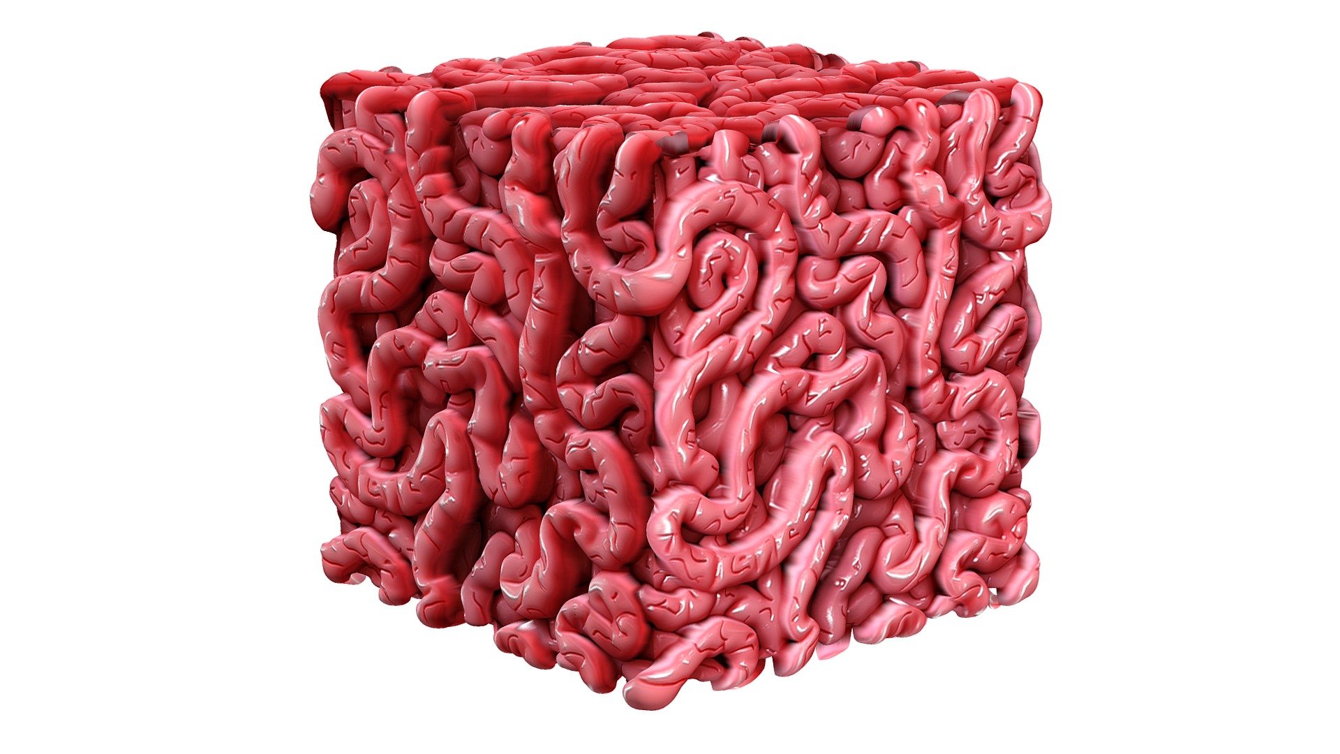 Anatomy Seamless Texture - Buy Royalty Free 3D model by zames1992 [b7ca893] - Sketchfab Store