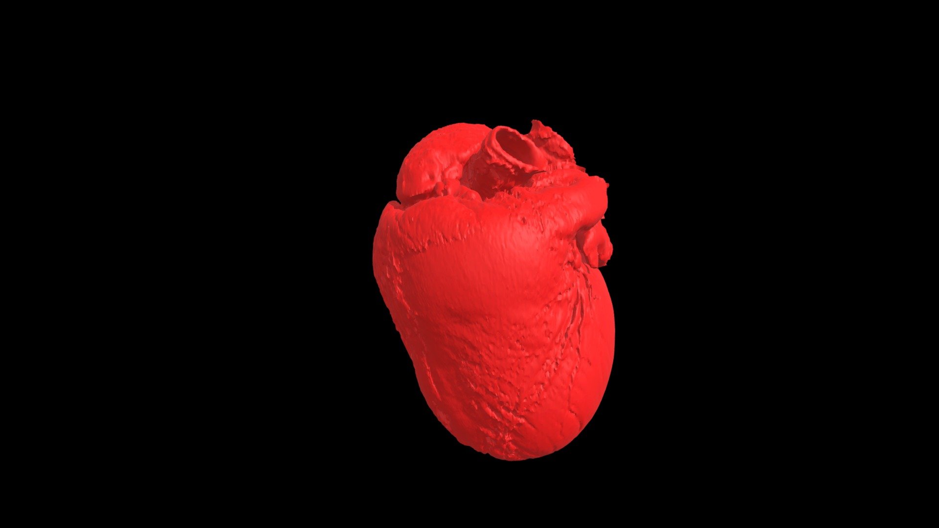 Healthy Pediatric Heart Model- Heart0102 - Download Free 3D model by ...