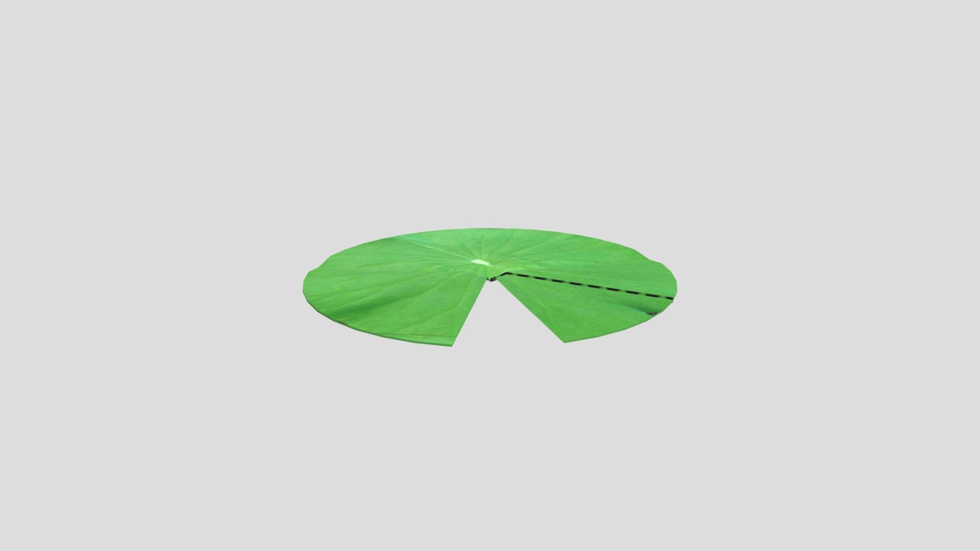 Lilly Pad - Download Free 3D model by Scurry14 [b7cc1a5] - Sketchfab