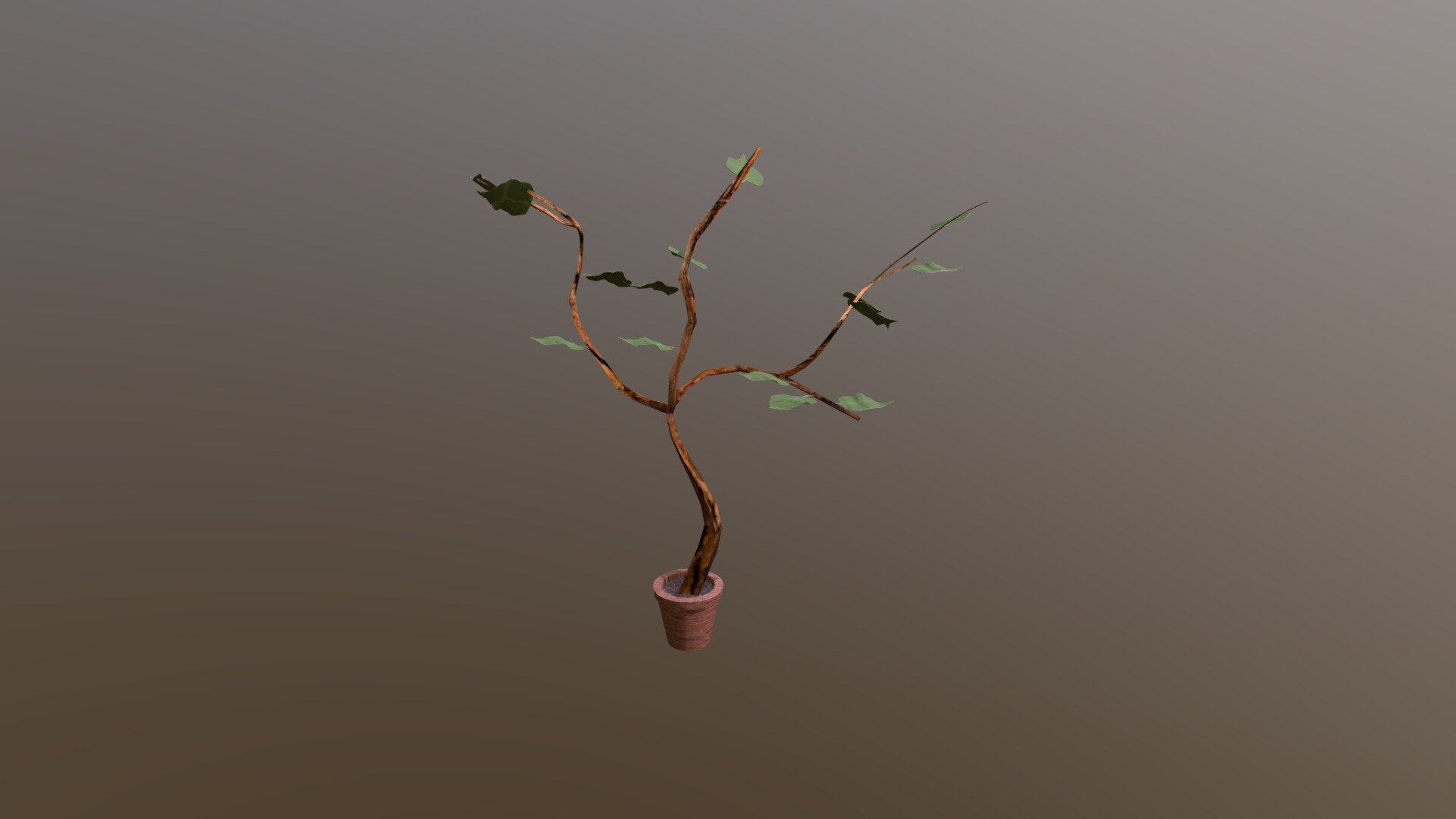 PLANT - Download Free 3D model by jamesteng [b7d493c] - Sketchfab