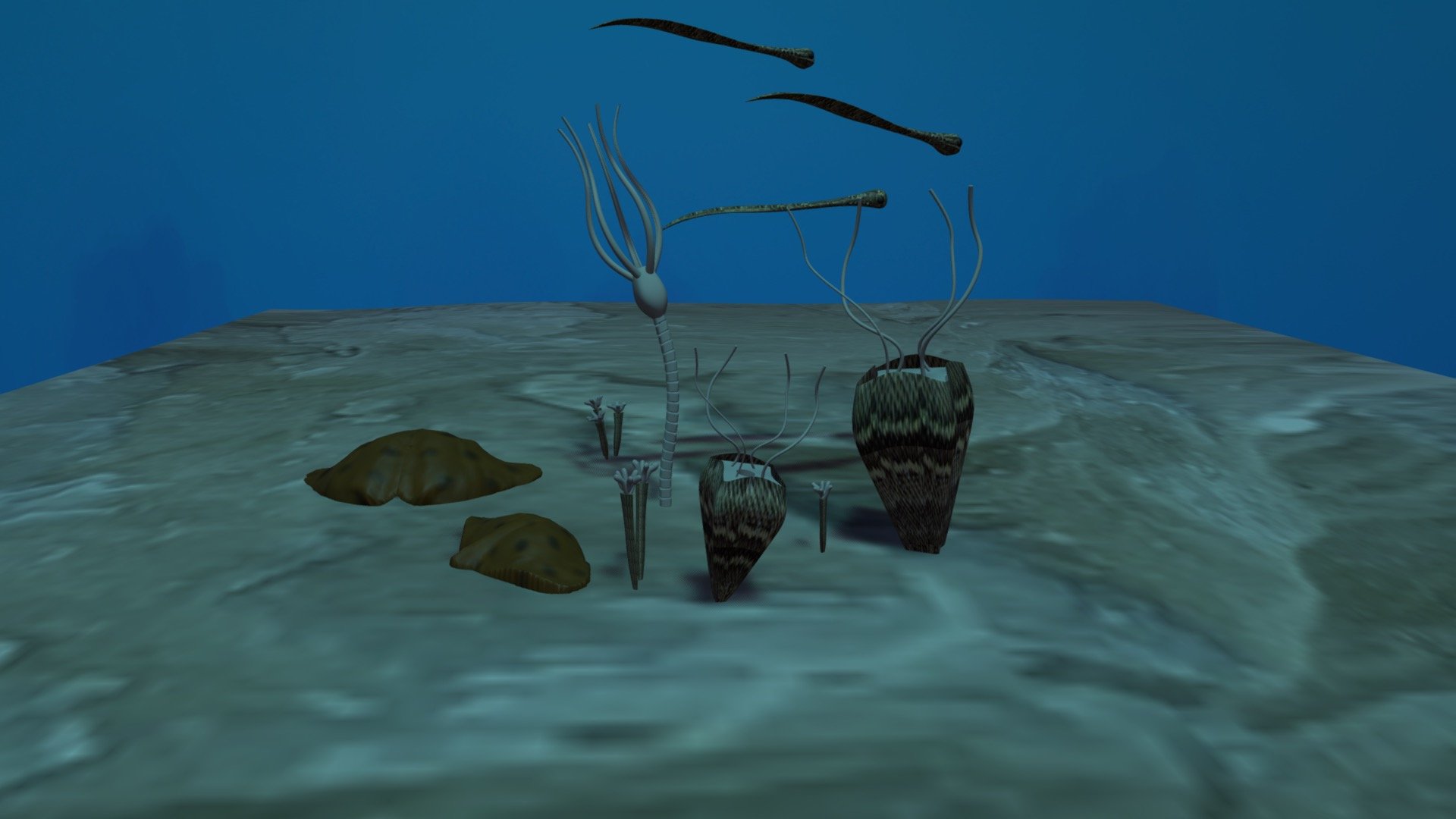 Reconstruction-conularia - Download Free 3D model by AVZ ...