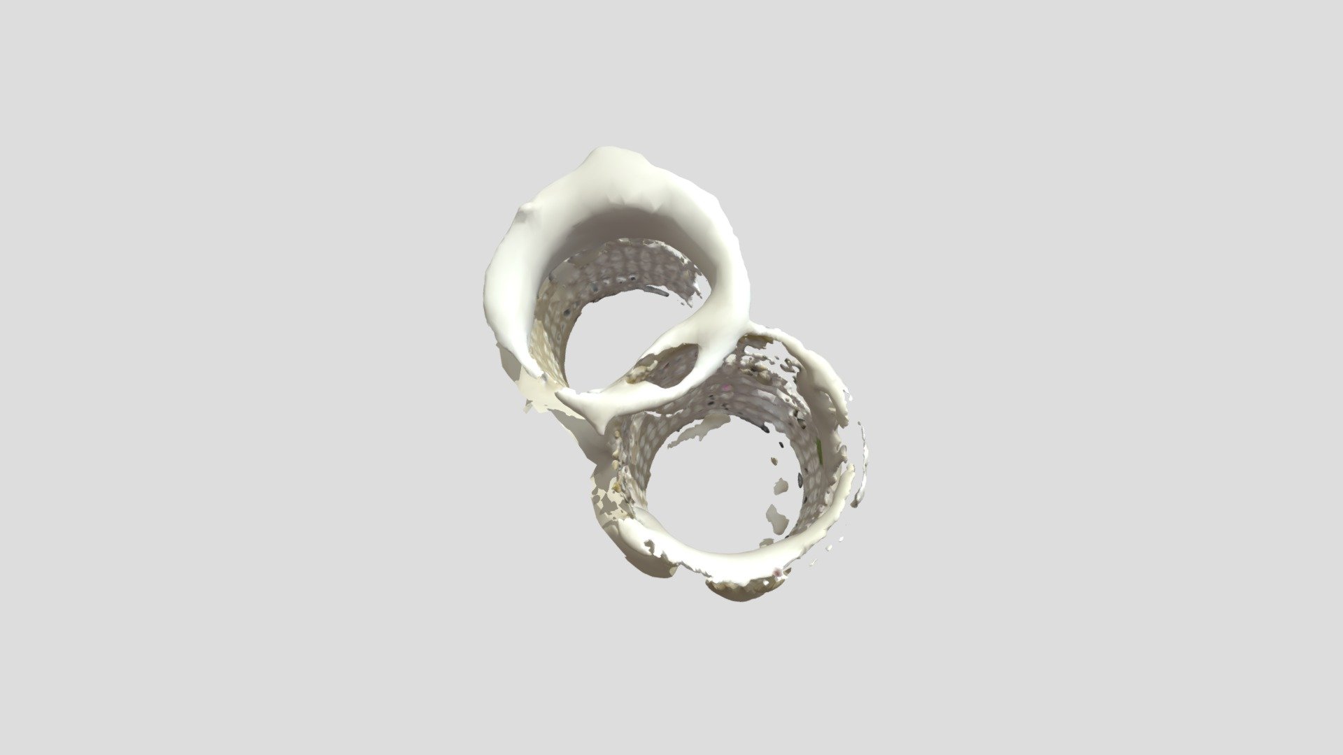 Vedros homunculus - 3D model by ЭКОЛОГИ (@IKBFUECOLOGY) [b7db821 ...