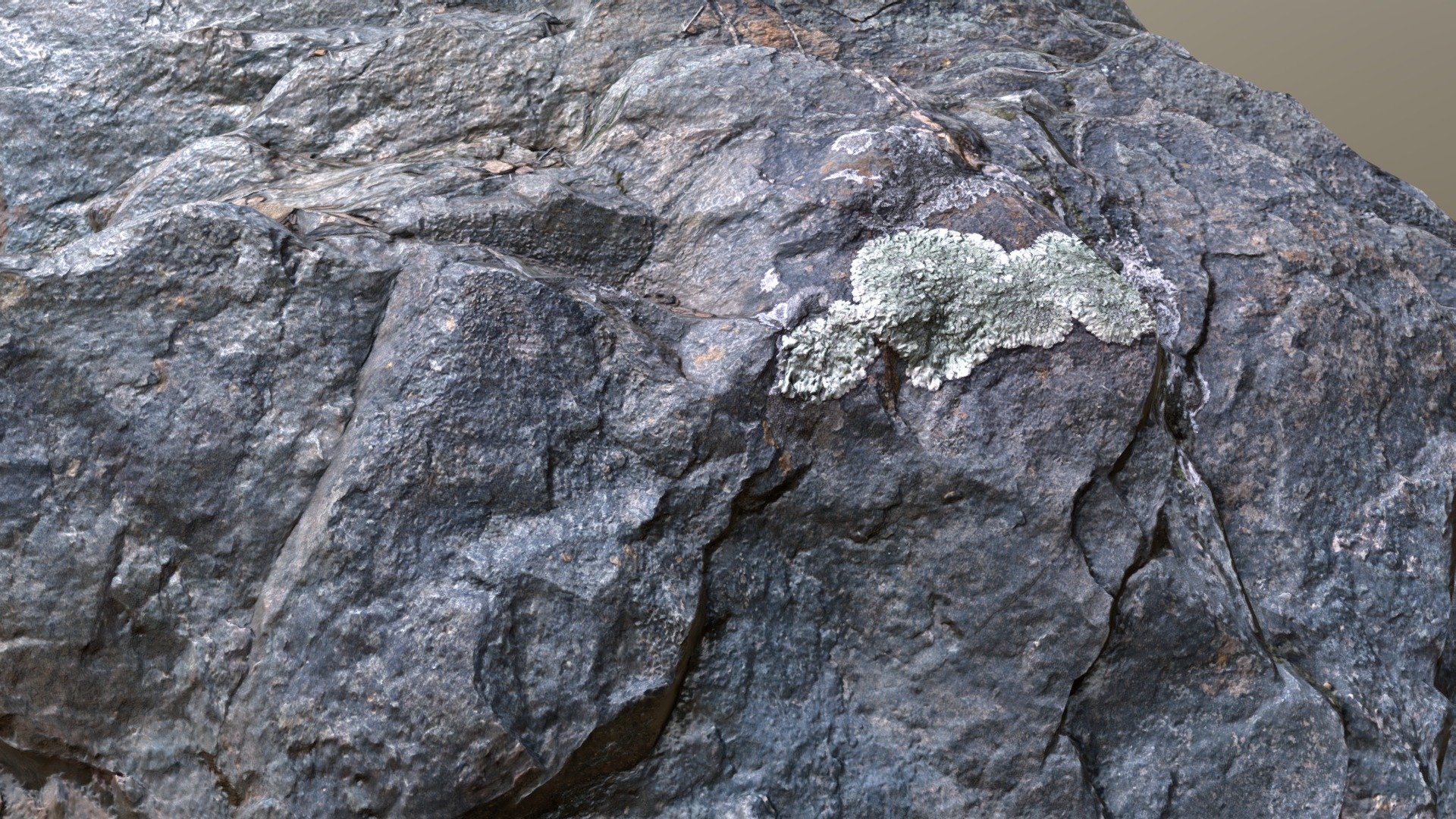 Forest Ground Rock - 3D model by marcobiols3D (@marcobiols) [b7dcd2a ...
