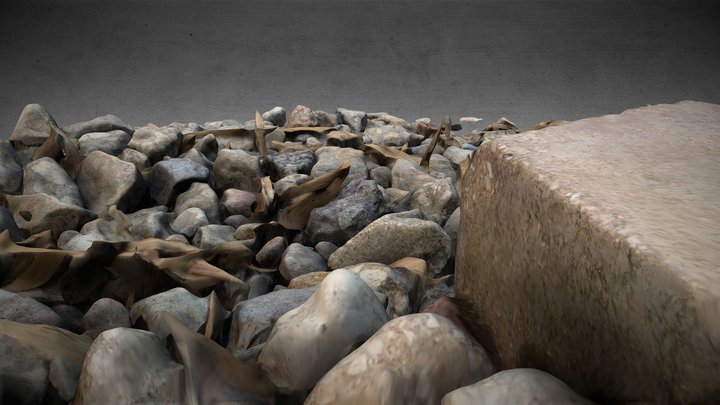 Pebble 3D models - Sketchfab