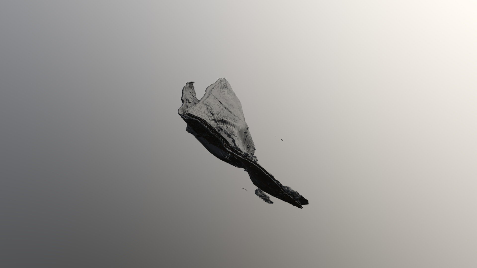 Fish scale scan - Download Free 3D model by Elan Bustos (@elanbustos ...