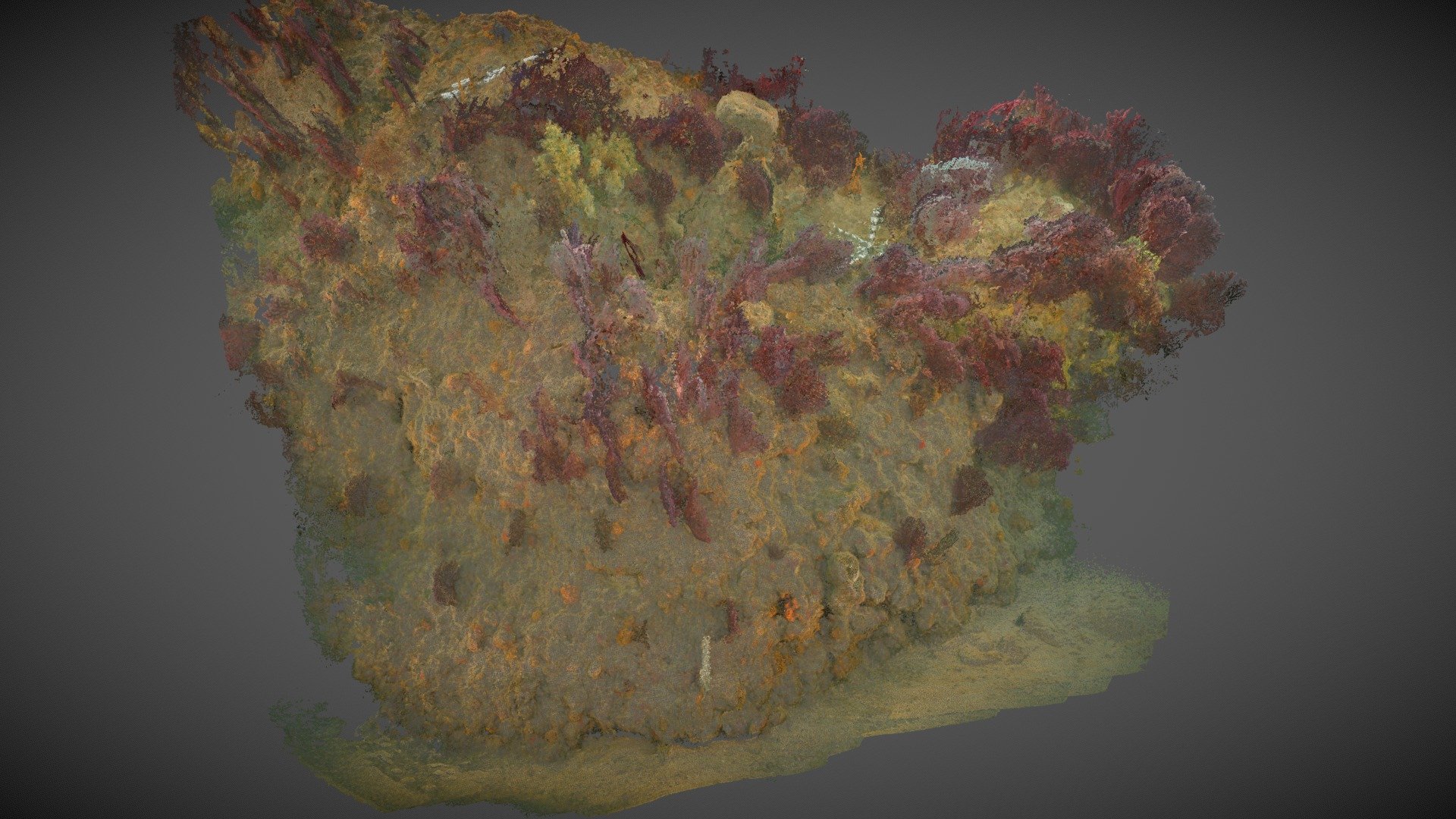 Punta Manara Project - Day 2 - Shila Rocks - 3D model by Reef Alert ...