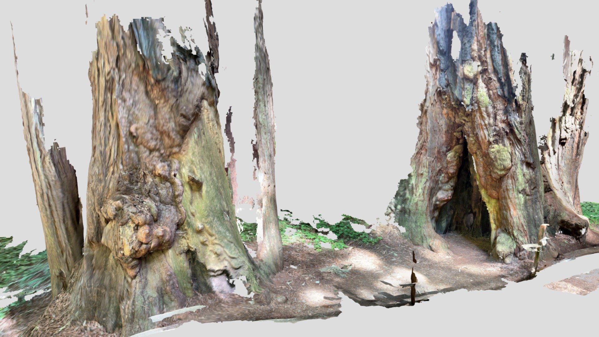 Muir 10 - Download Free 3D model by pixeldog4ever [b7ed38c] - Sketchfab