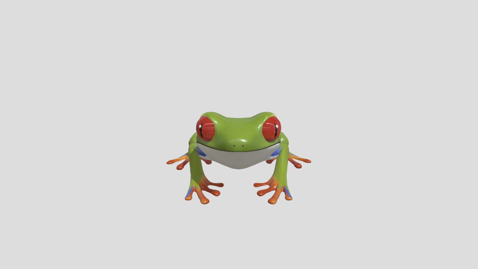 Red-eyed Tree Frog - 3D model by kenchoo [b7f0e50] - Sketchfab