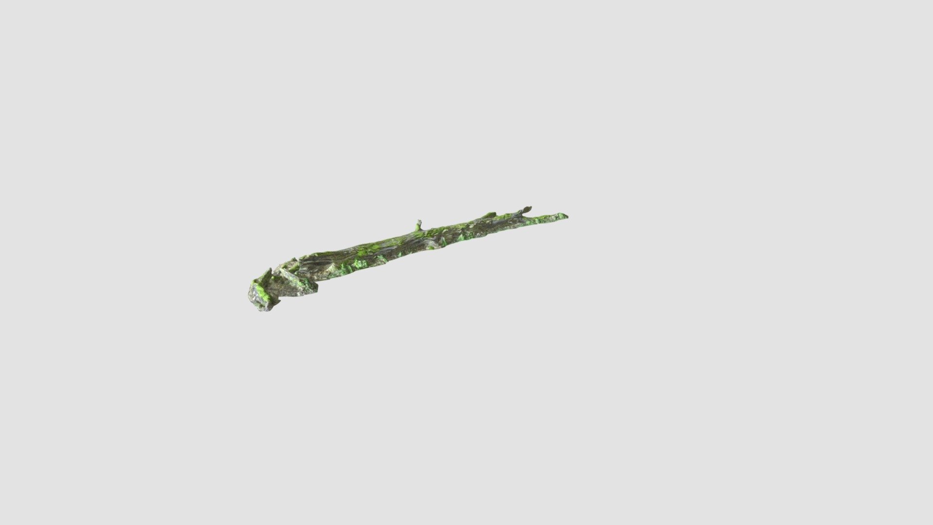 forest element - Buy Royalty Free 3D model by Evermotion [b7f2c9a ...