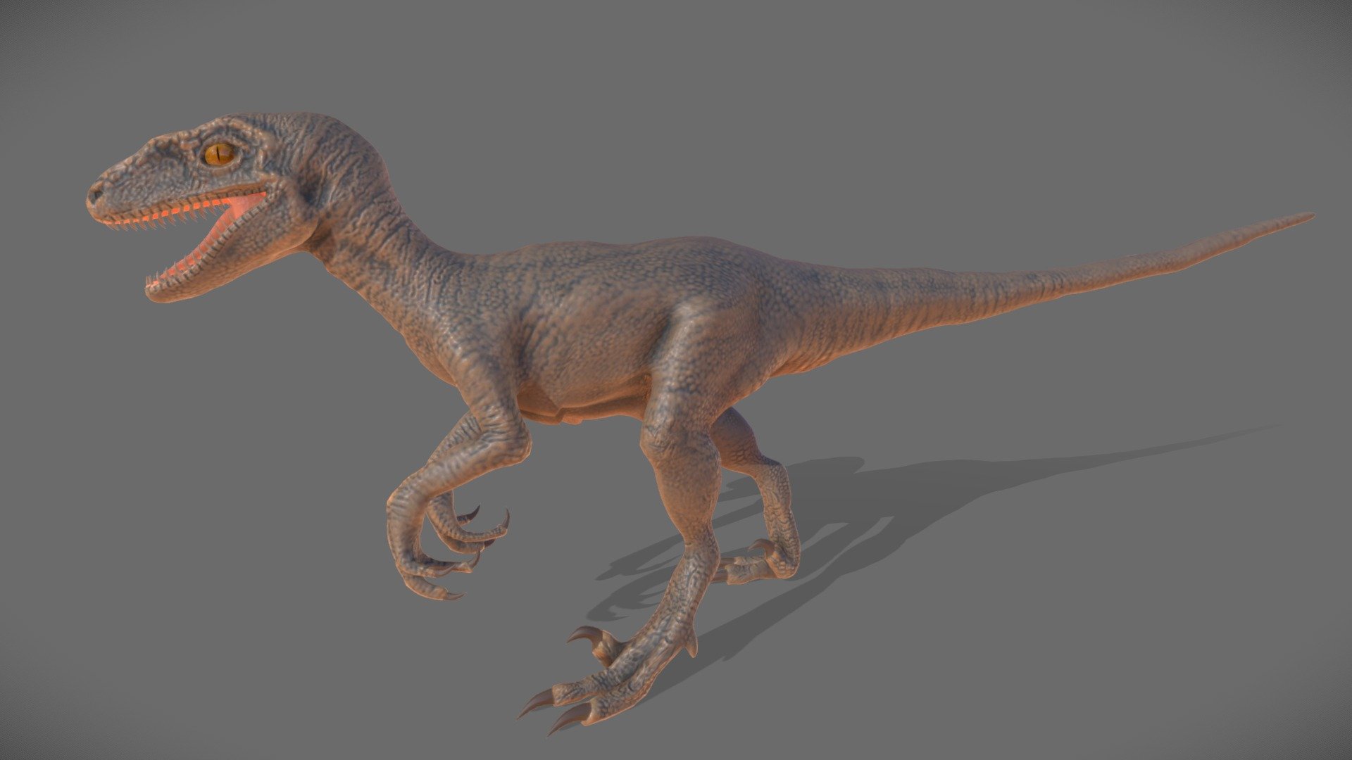 Velociraptor - Buy Royalty Free 3D model by Gavin B. (@Gevin_B ...