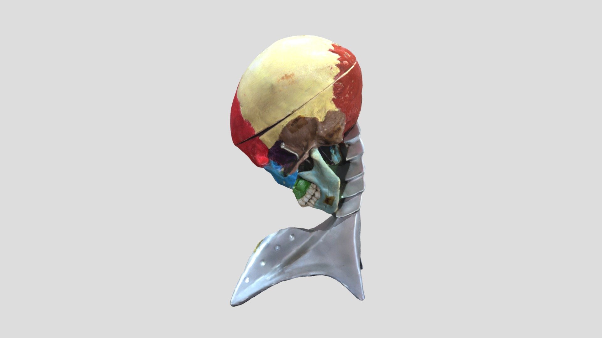 mysterious skull object - Download Free 3D model by kan_ei_sen_3d ...