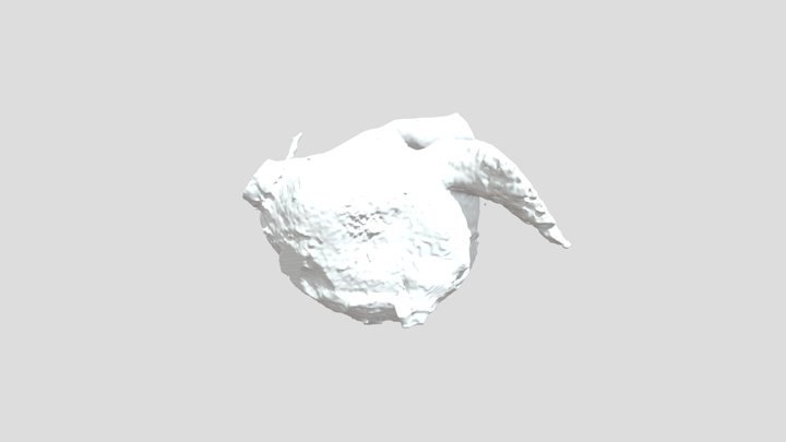 Left_atrium 3D models - Sketchfab