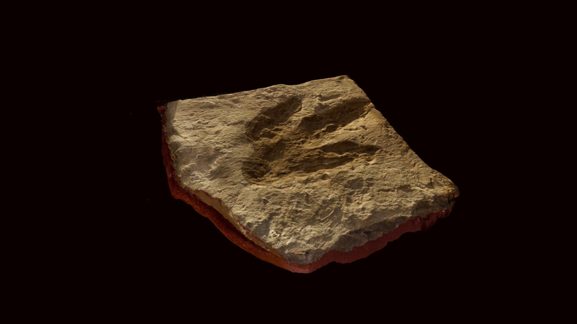 Sample 5: Eubrontes giganteus - 3D model by hyattj [b7faa6e] - Sketchfab