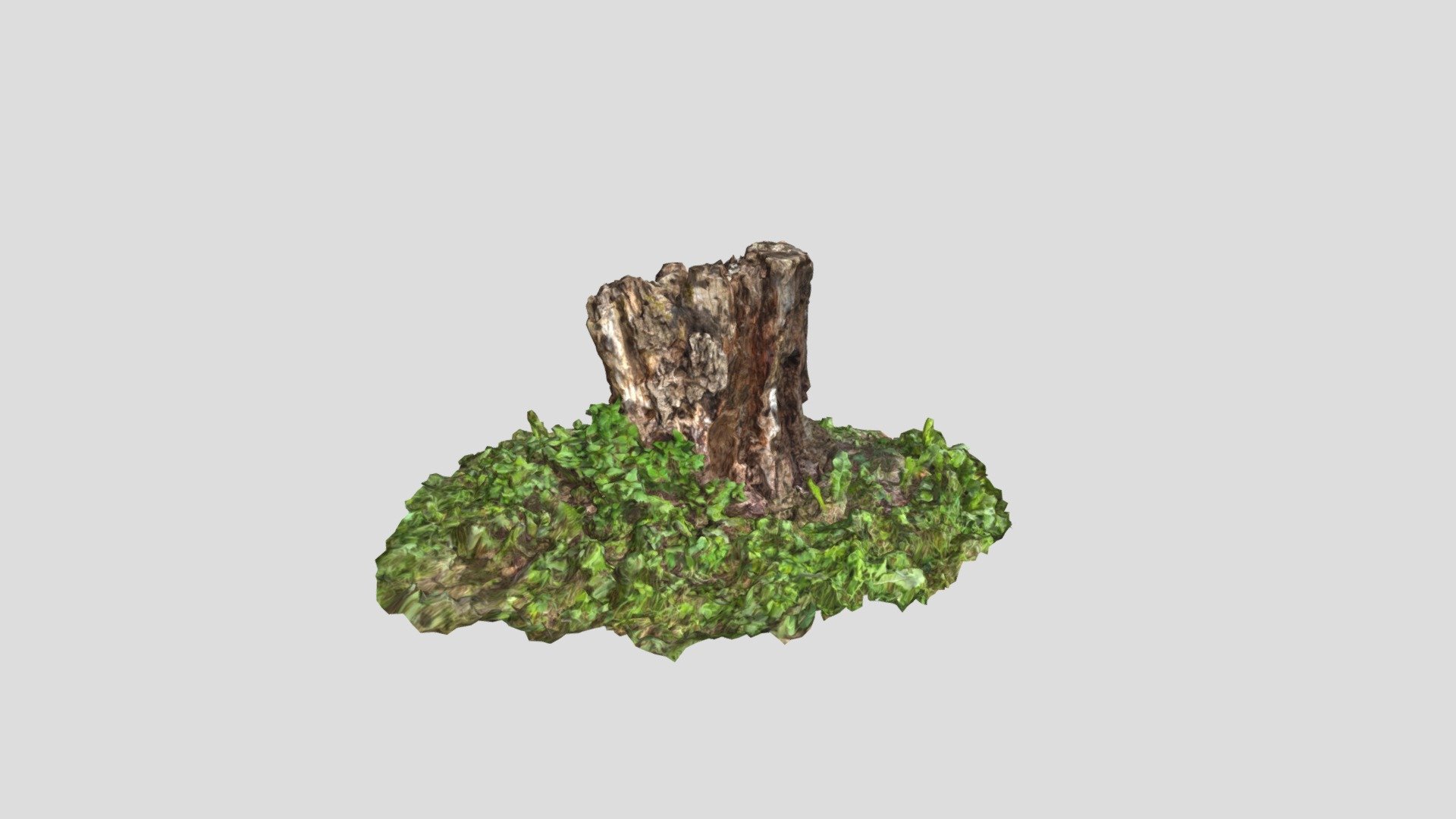 Tree Trunk - Download Free 3D model by Lenna00 [b7fc16d] - Sketchfab
