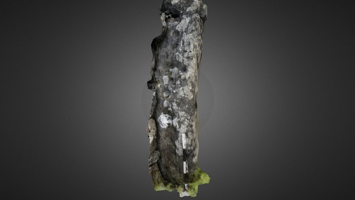 Luing 3D models - Sketchfab