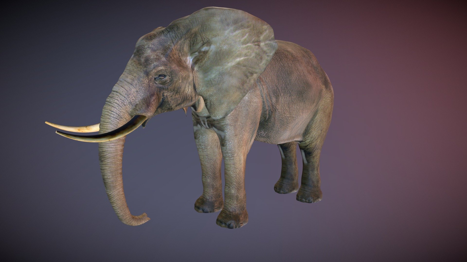 3D Elephant - Animal - 3D model by Kailash H Kanojia (@KailashHKanojia ...