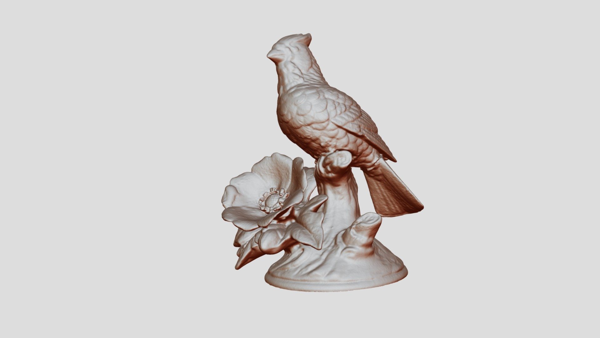 Cardinal - 3D model by kjarvy [b80a1d8] - Sketchfab