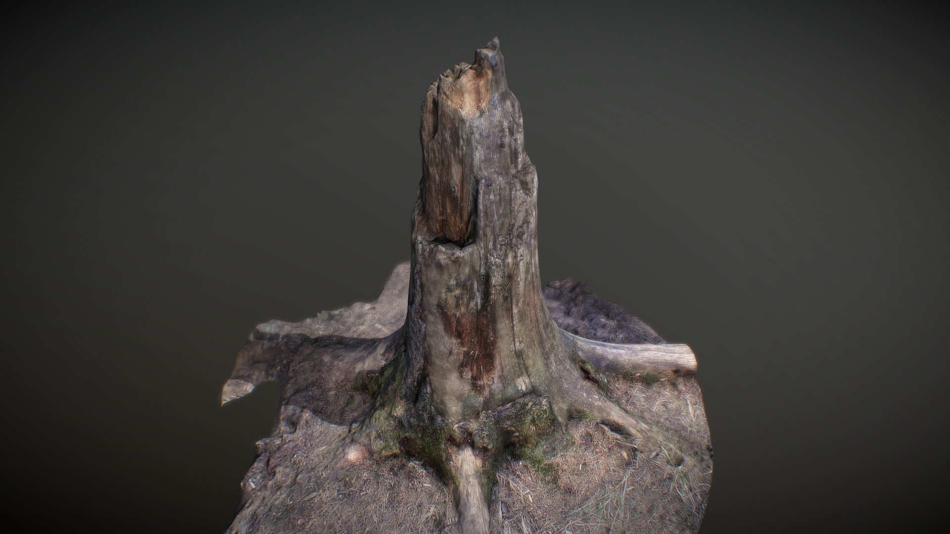 Stump - Download Free 3D model by torvald-mgt [b80cbd7] - Sketchfab