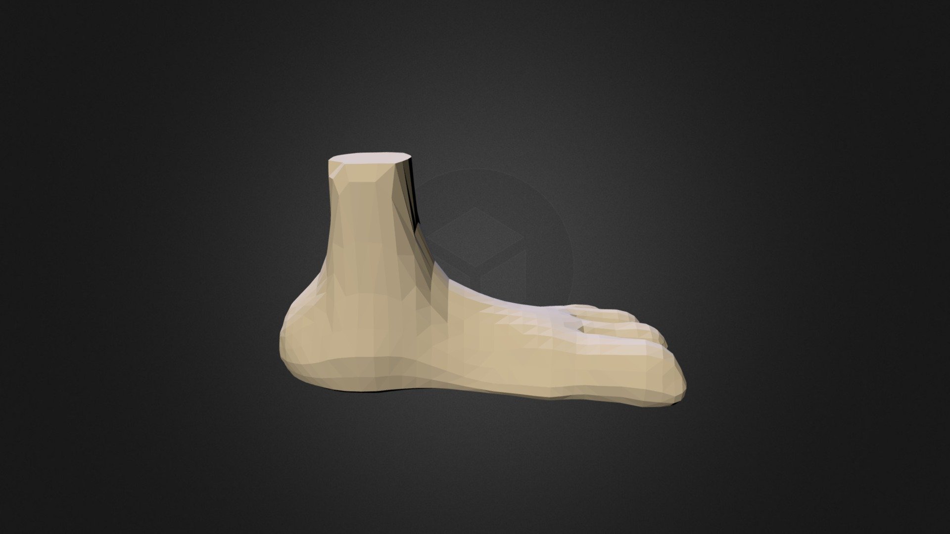 Foot - 3D model by 3dindustries [b81eae2] - Sketchfab