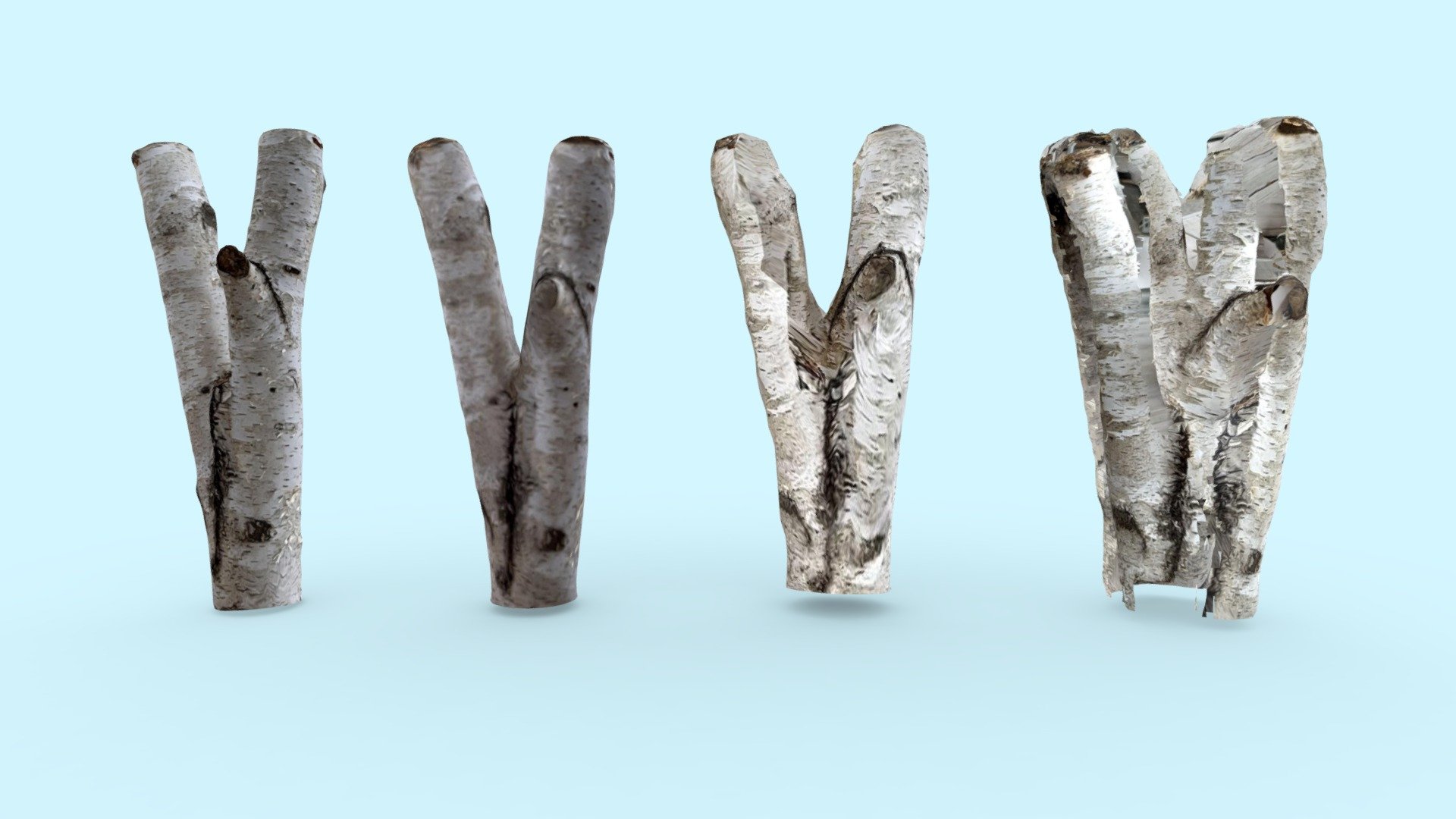 Birch Branch Comparison - Download Free 3D model by Mikko Haapoja ...