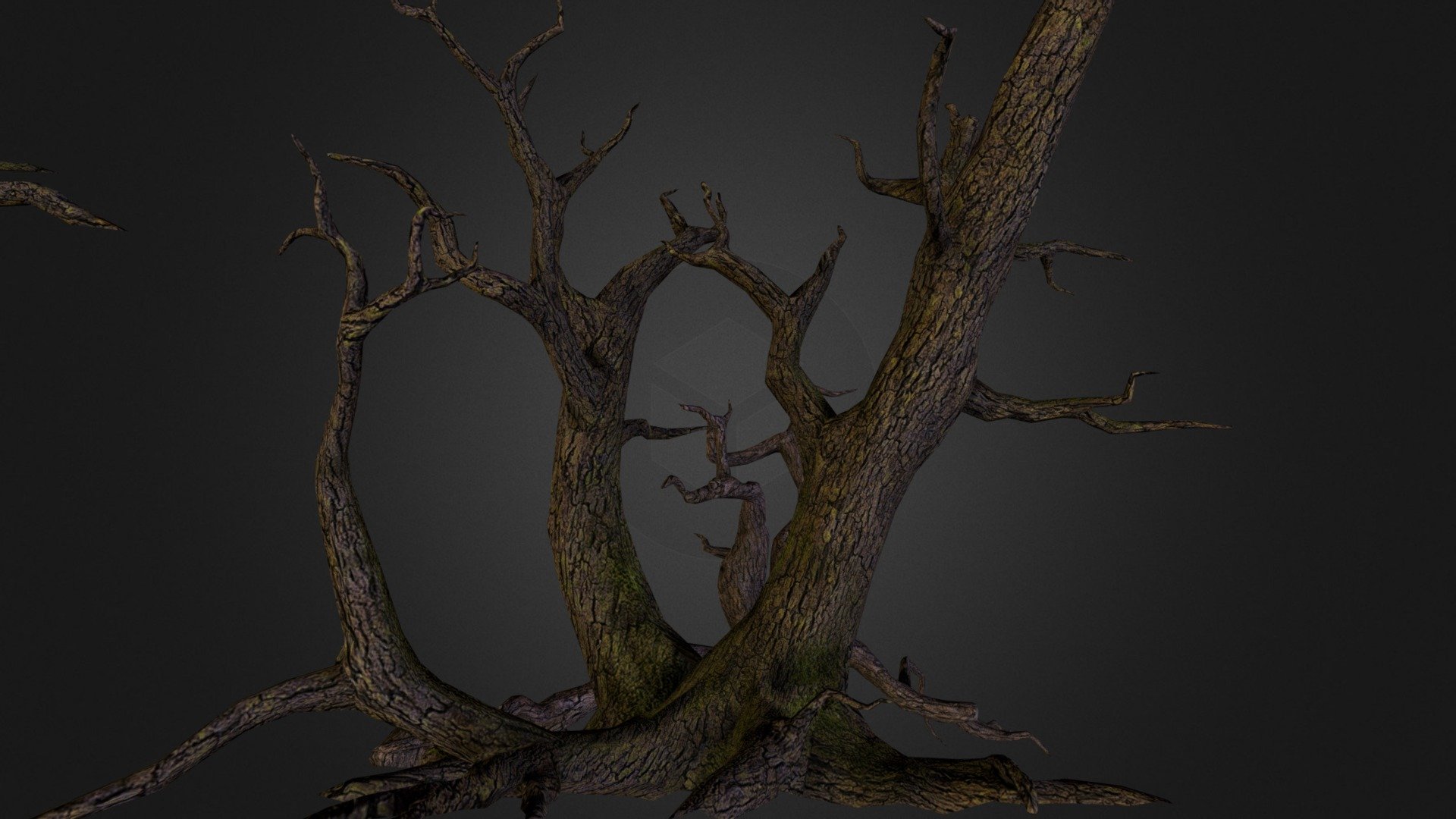 Scary Trees - 3D model by simviz.net (@simonscat) [b83158f] - Sketchfab