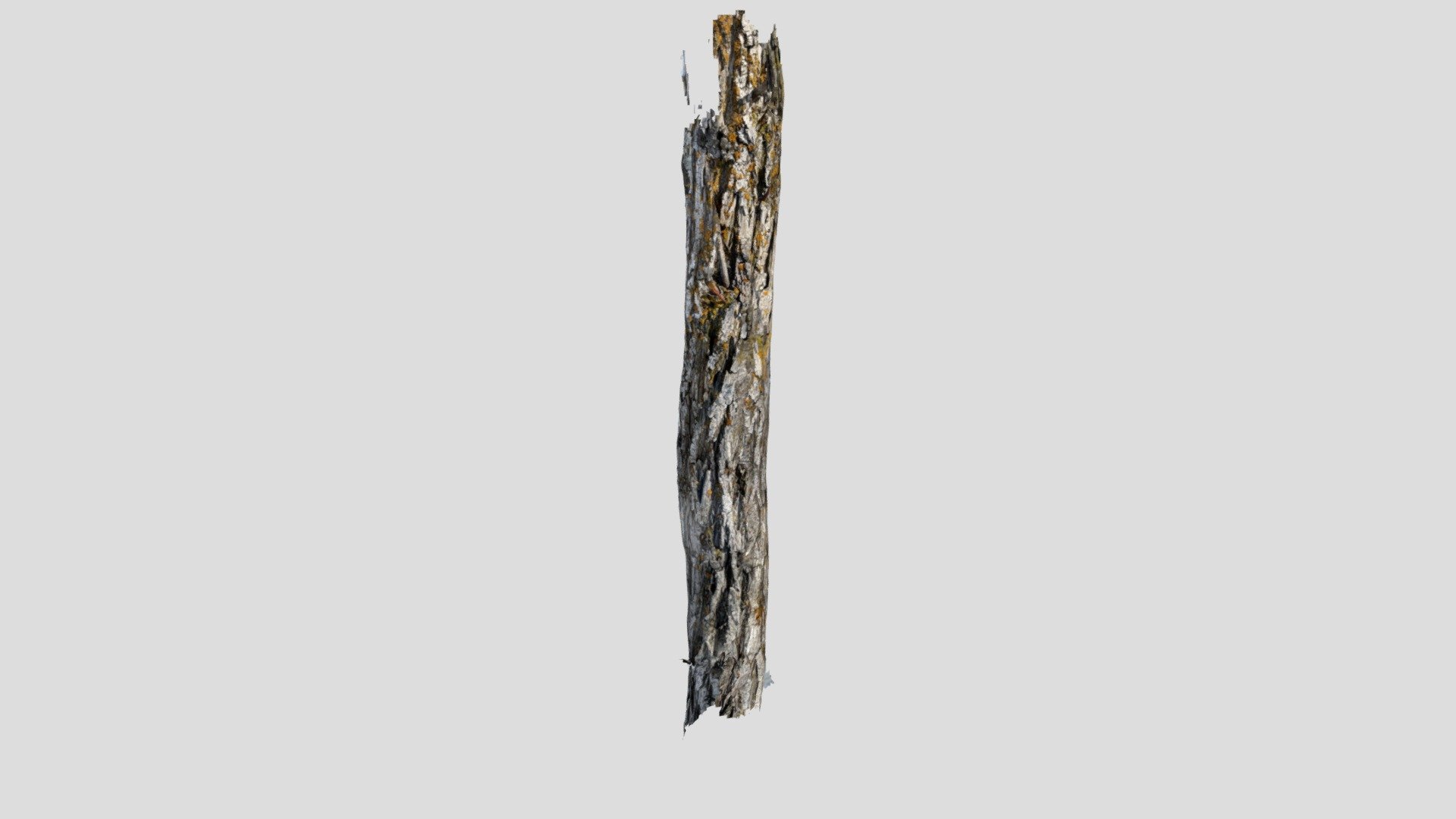 Tree bark - Download Free 3D model by otrain13 [b838f68] - Sketchfab
