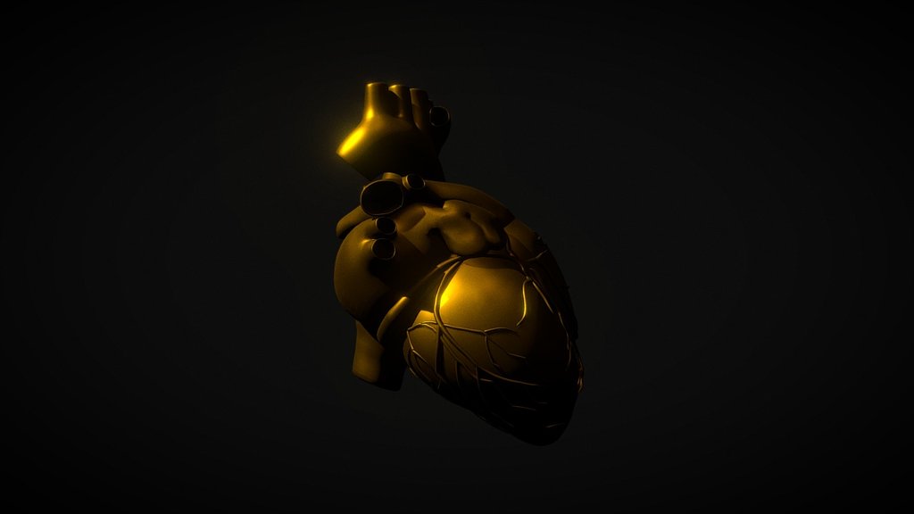heart.c4d - 3D model by alexTK [b83cb9a] - Sketchfab