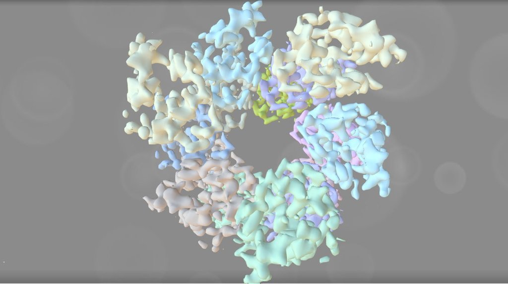 Mouse ASC filament - (PNAS 2015) - 3D model by Interactive 3D Data ...