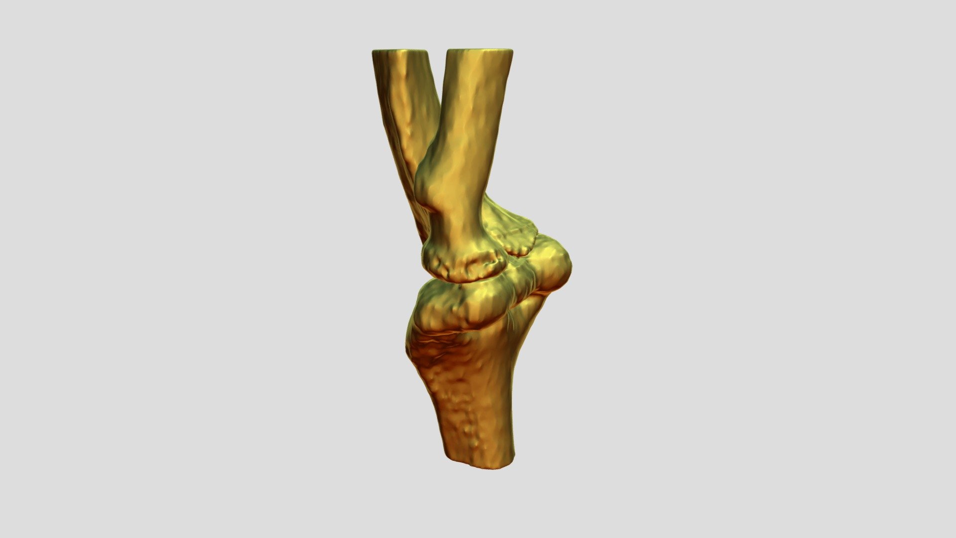 Reduced_Segment_1 - 3D model by panghouying88 [b83f2f9] - Sketchfab