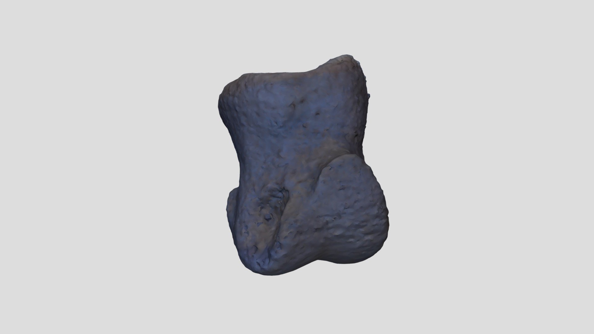 Bubalus Bubalis II Phalanx L - Download Free 3D model by PiotrOsypinski ...