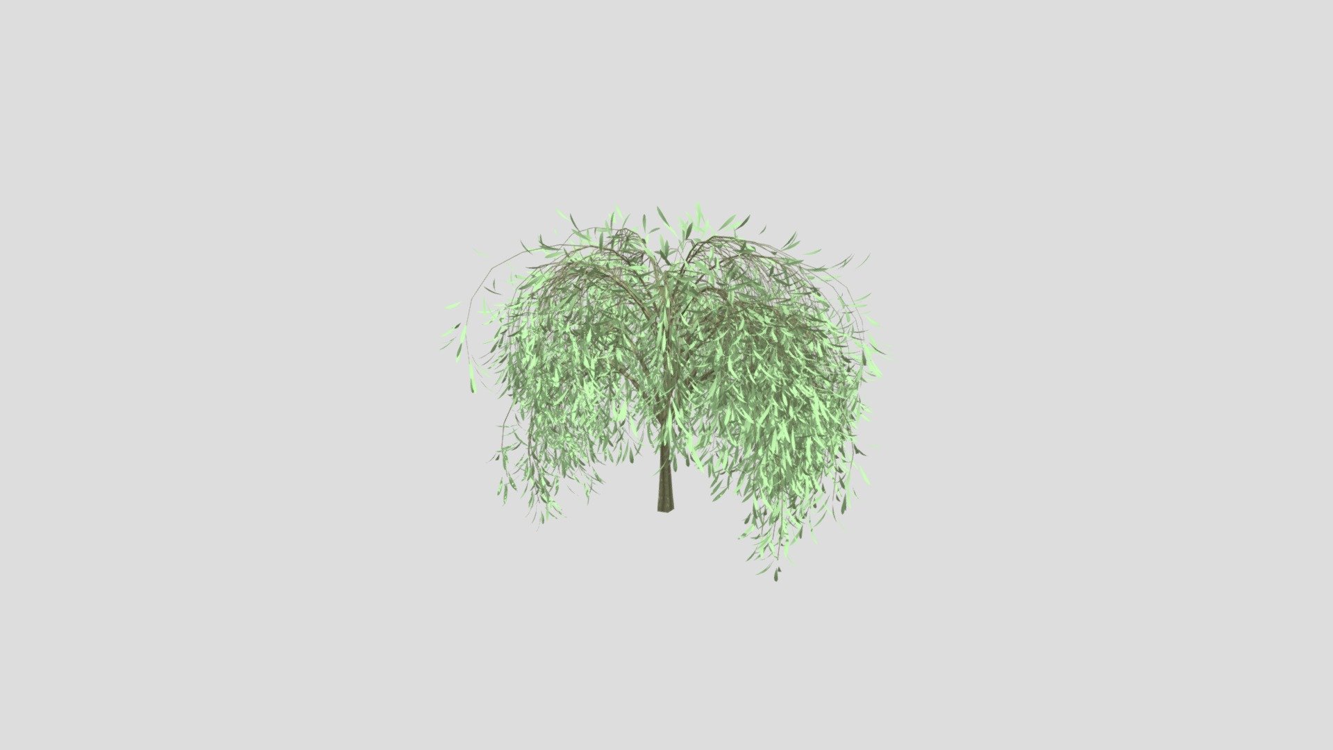 001_ Tree_ Weeping_willow - Download Free 3D model by Dakta.Grower.Nzl ...