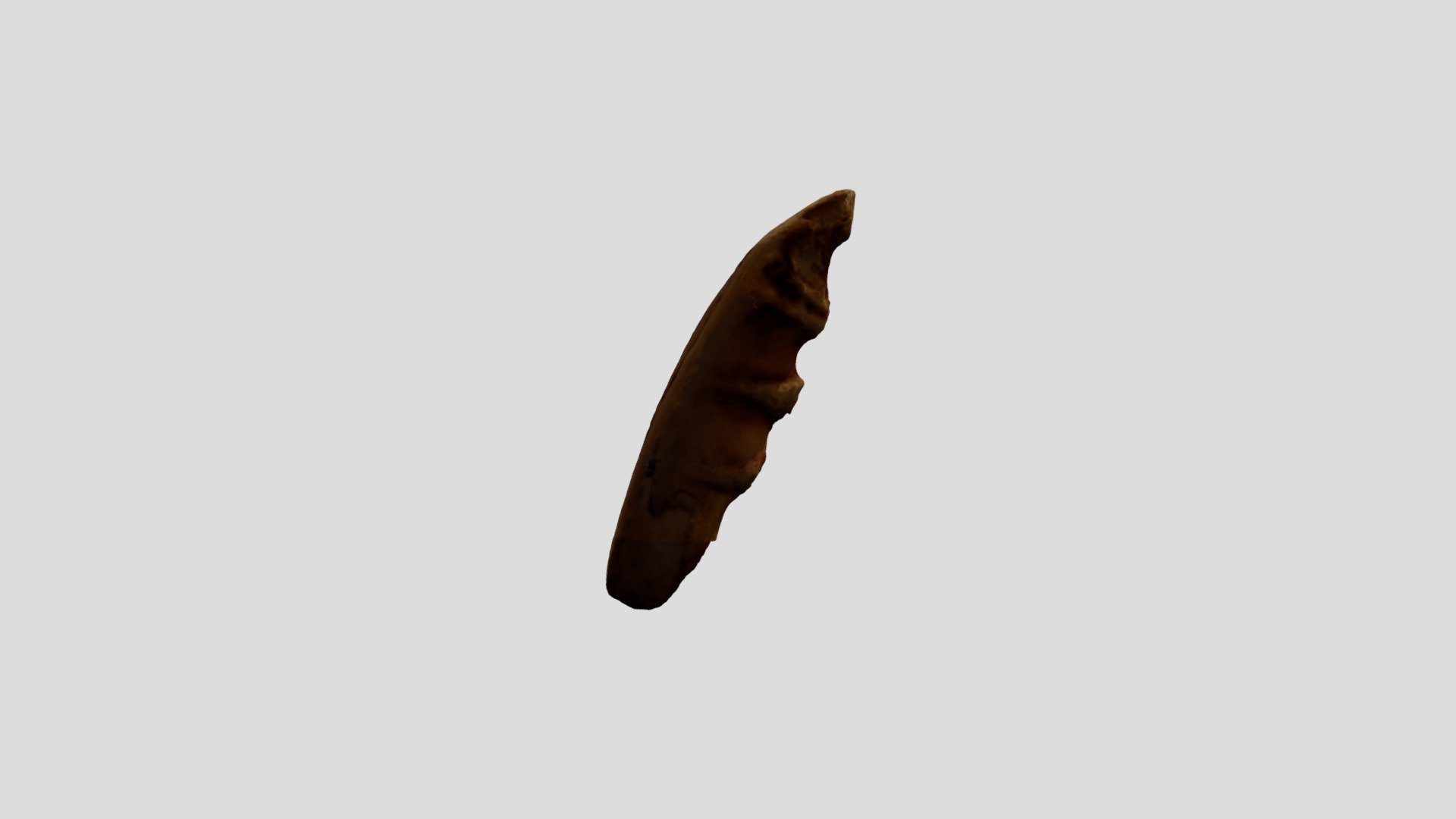 artifact 6 - Sharpening Tool - Sanford Museum - Download Free 3D model ...