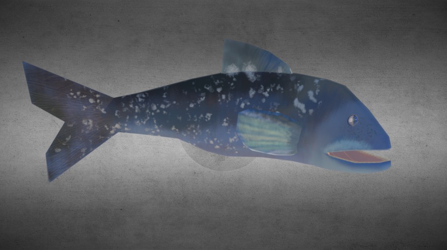 Blue Spotted Grouper Fish - 3D model by Matt Bodner (@liphttam1 ...