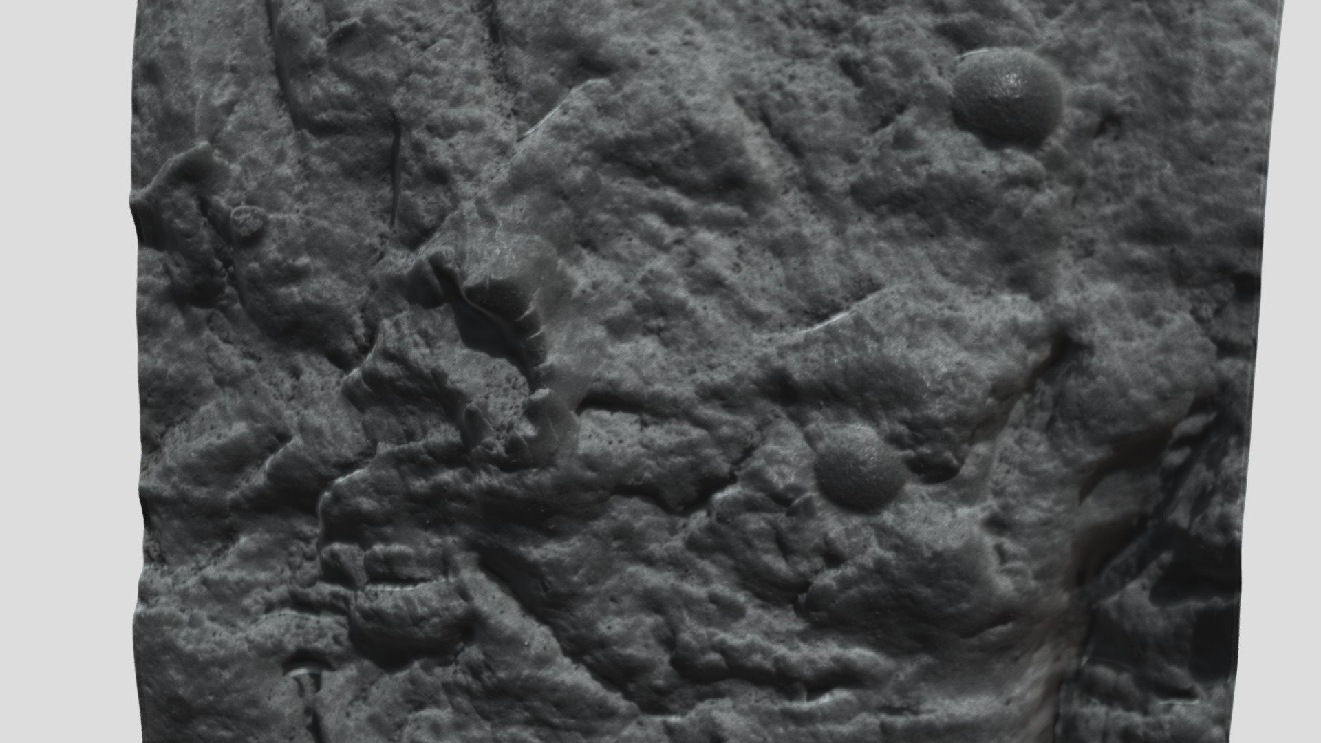 test crinoid - Download Free 3D model by Mars_Pics (@belkessam.amine ...