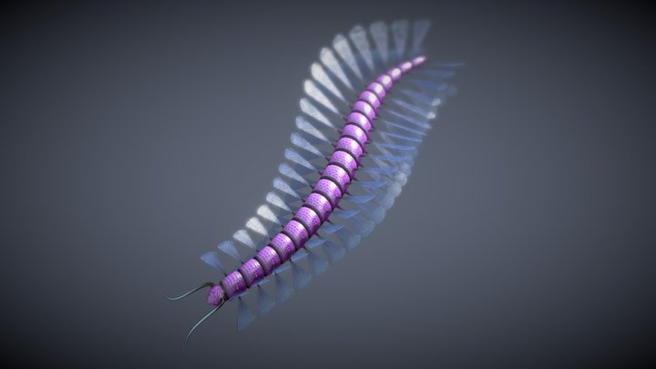 Worm 3D models - Sketchfab