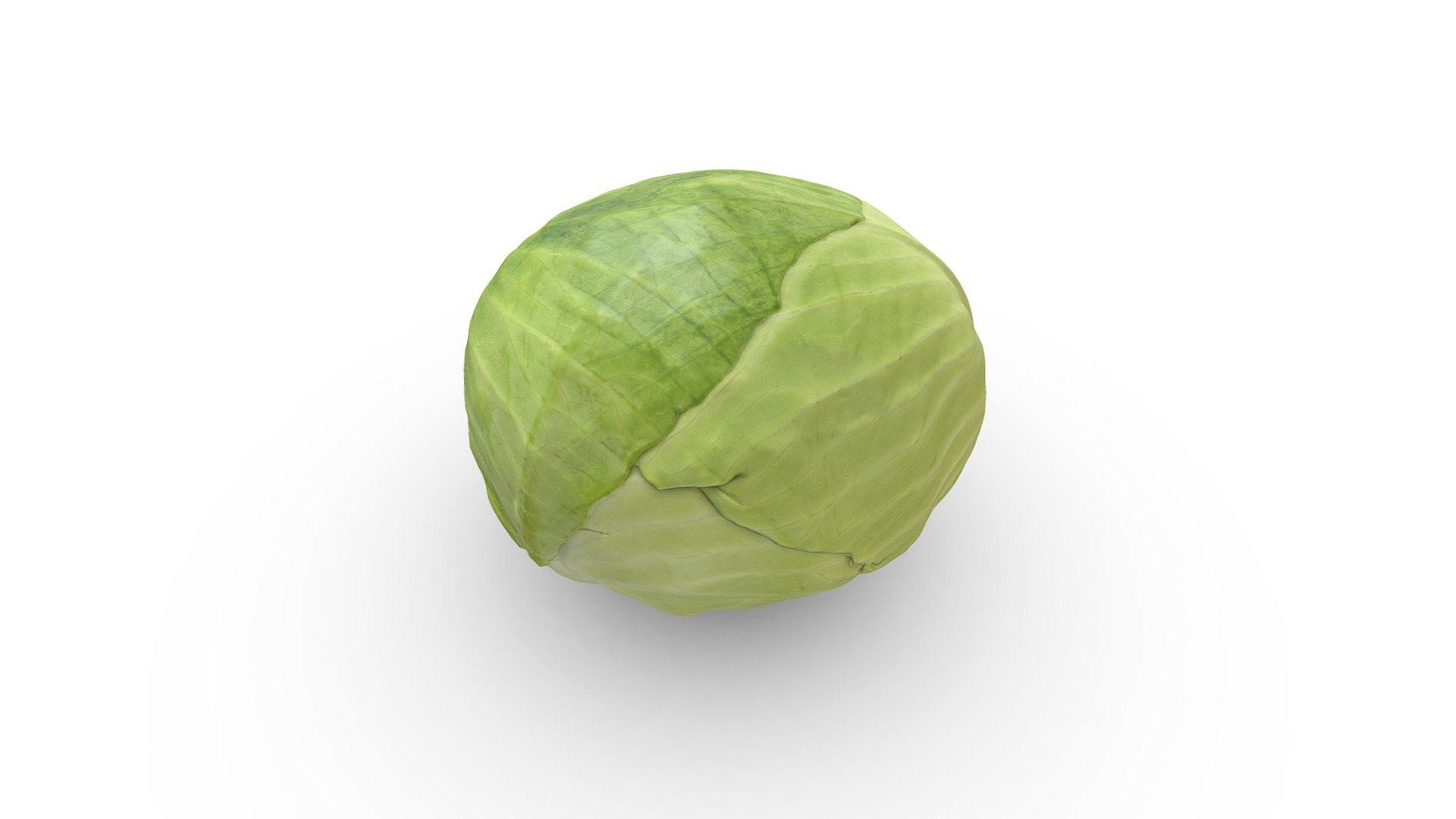 Head of Cabbage - 3D model by RawCatalog.com (@rawcatalog) [b8622fb ...