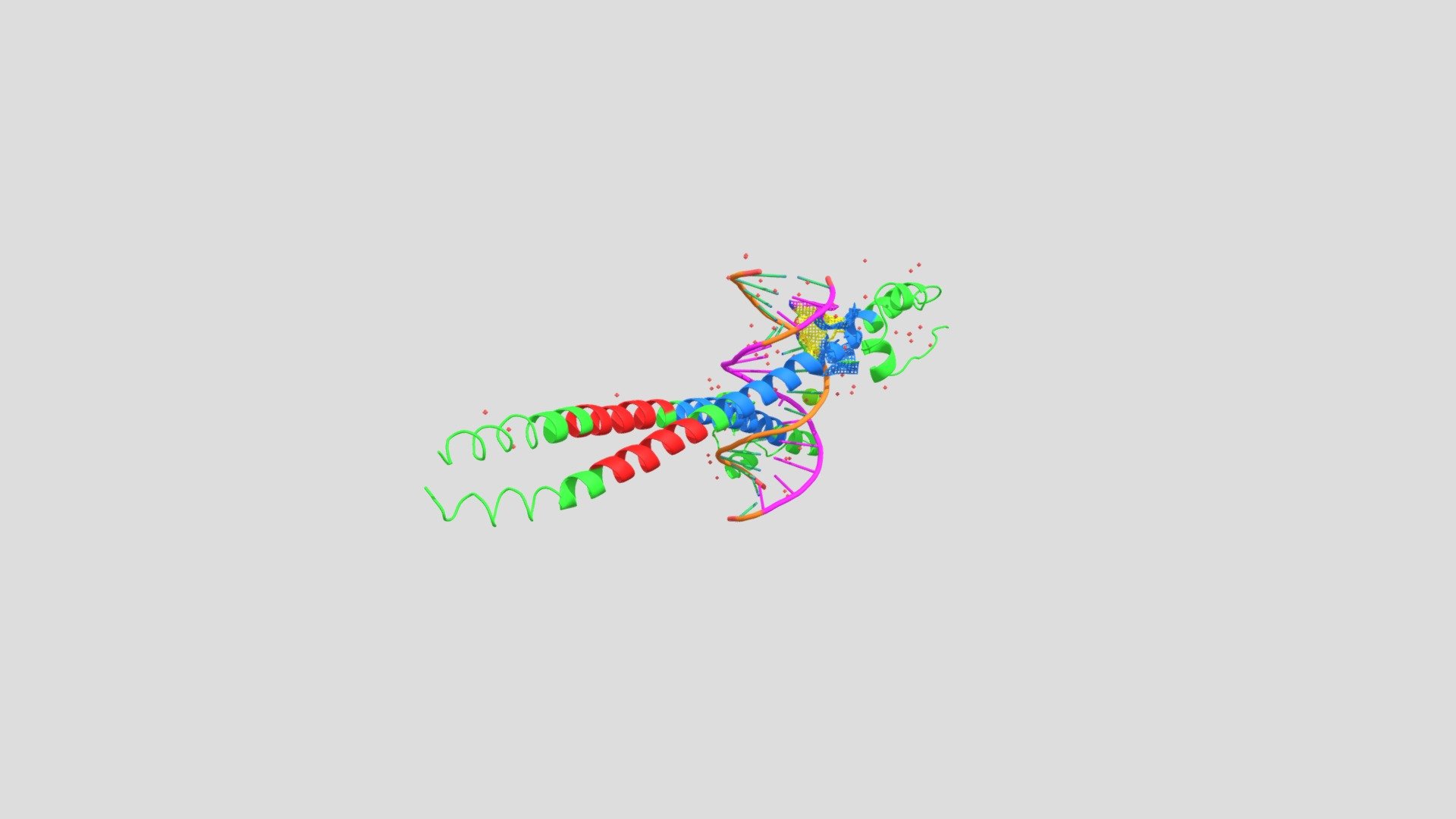 Maf transcription factor - 3D model by lucaslee12345 [b86417b] - Sketchfab