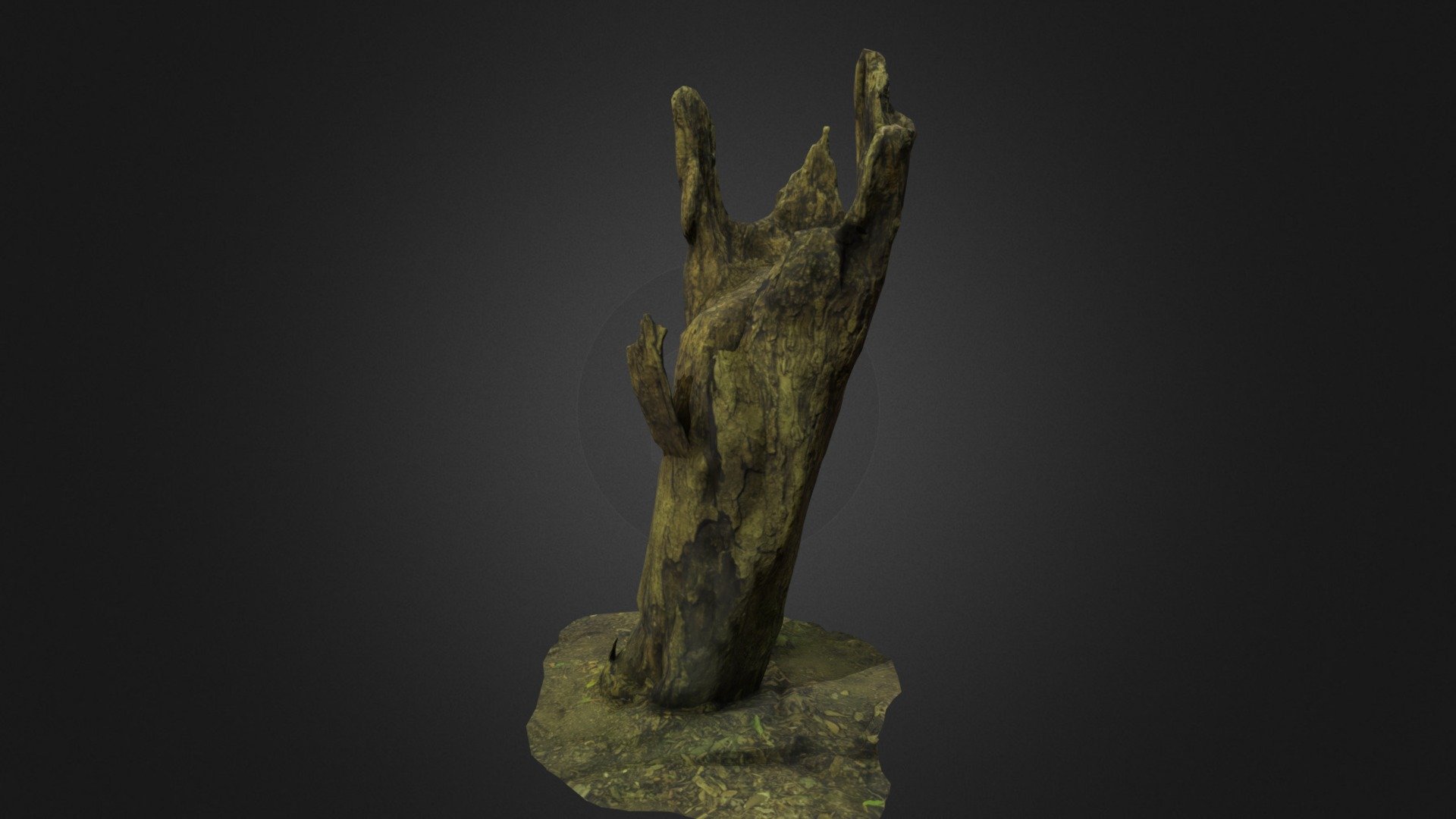 Large Tree Stump - 3D model by KrisG (@KrisWT) [b86ecf8] - Sketchfab