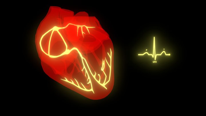Conduction 3D models - Sketchfab